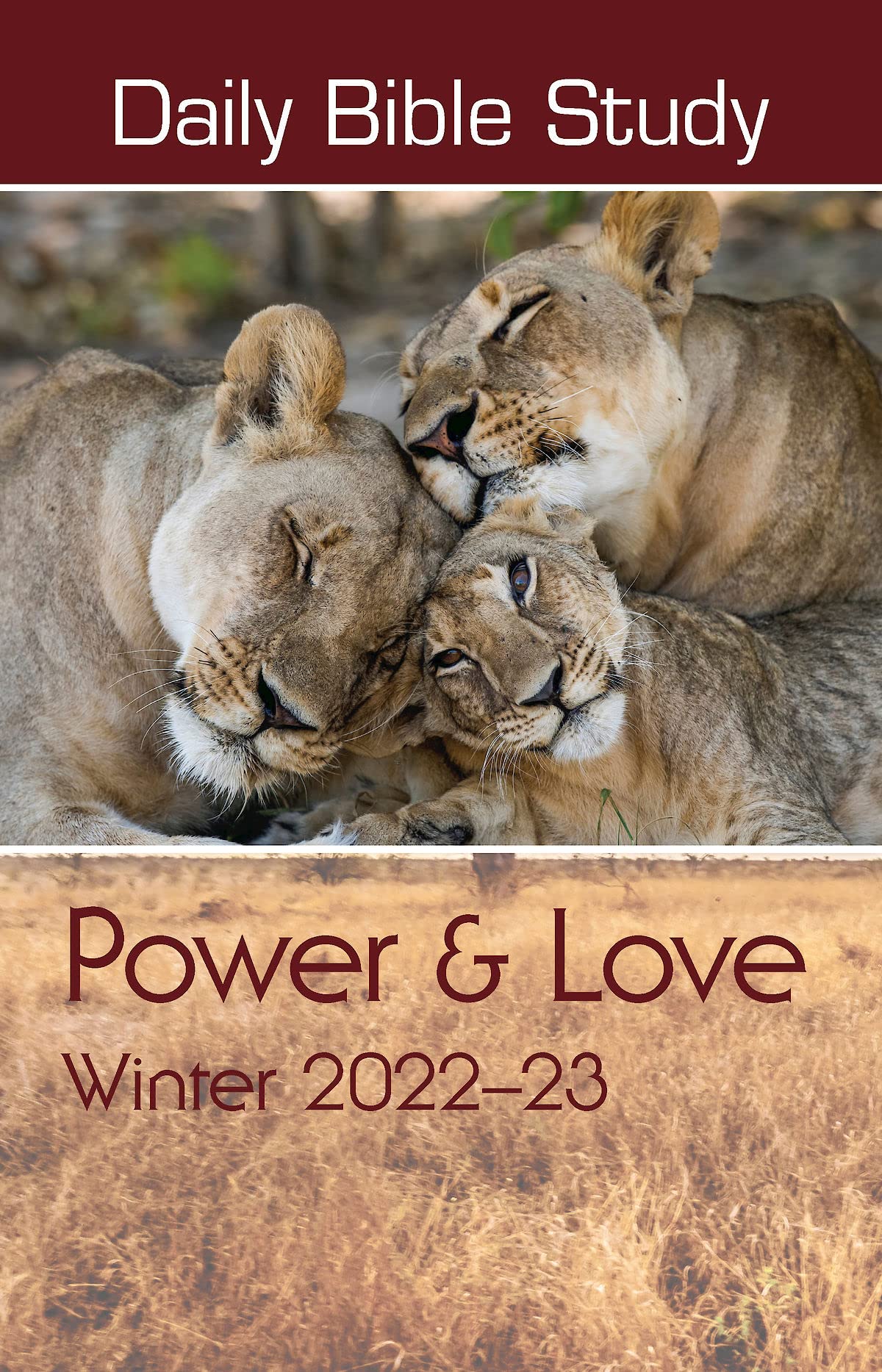 Daily Bible Study Winter 2022-2023 by Michelle J. Morris | Goodreads