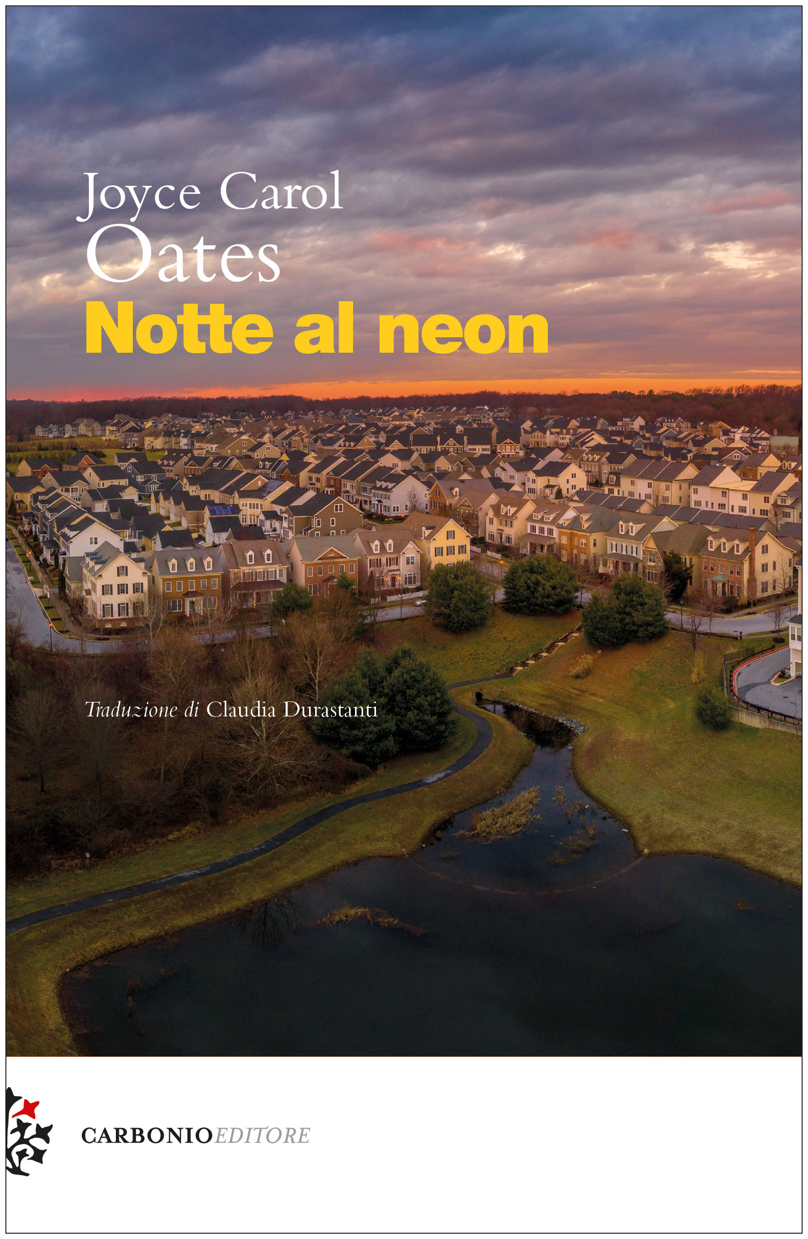 Notte al neon by Joyce Carol Oates | Goodreads