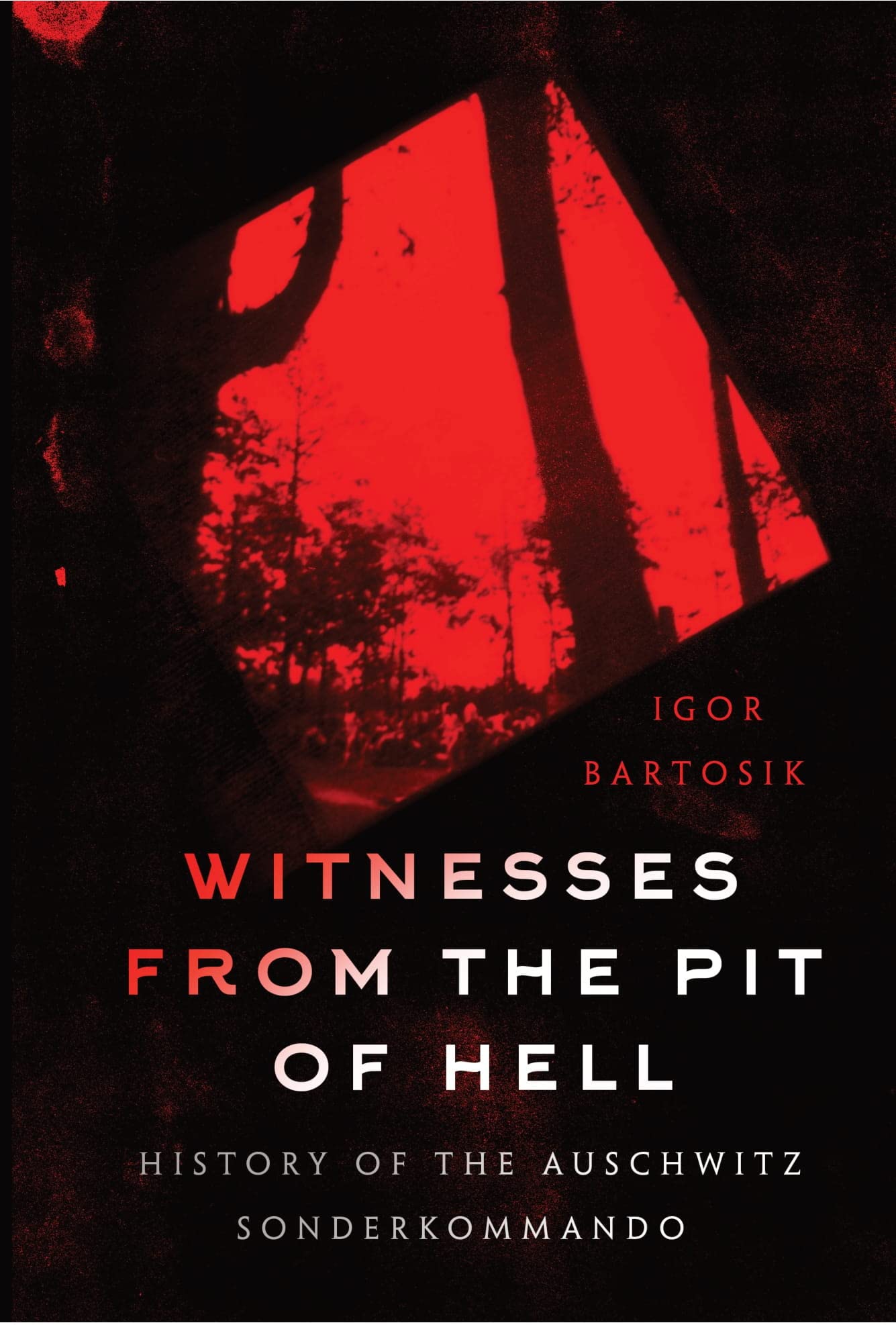 Witnesses from the Pit of Hell. History of the Auschwitz Sonderkommando ...