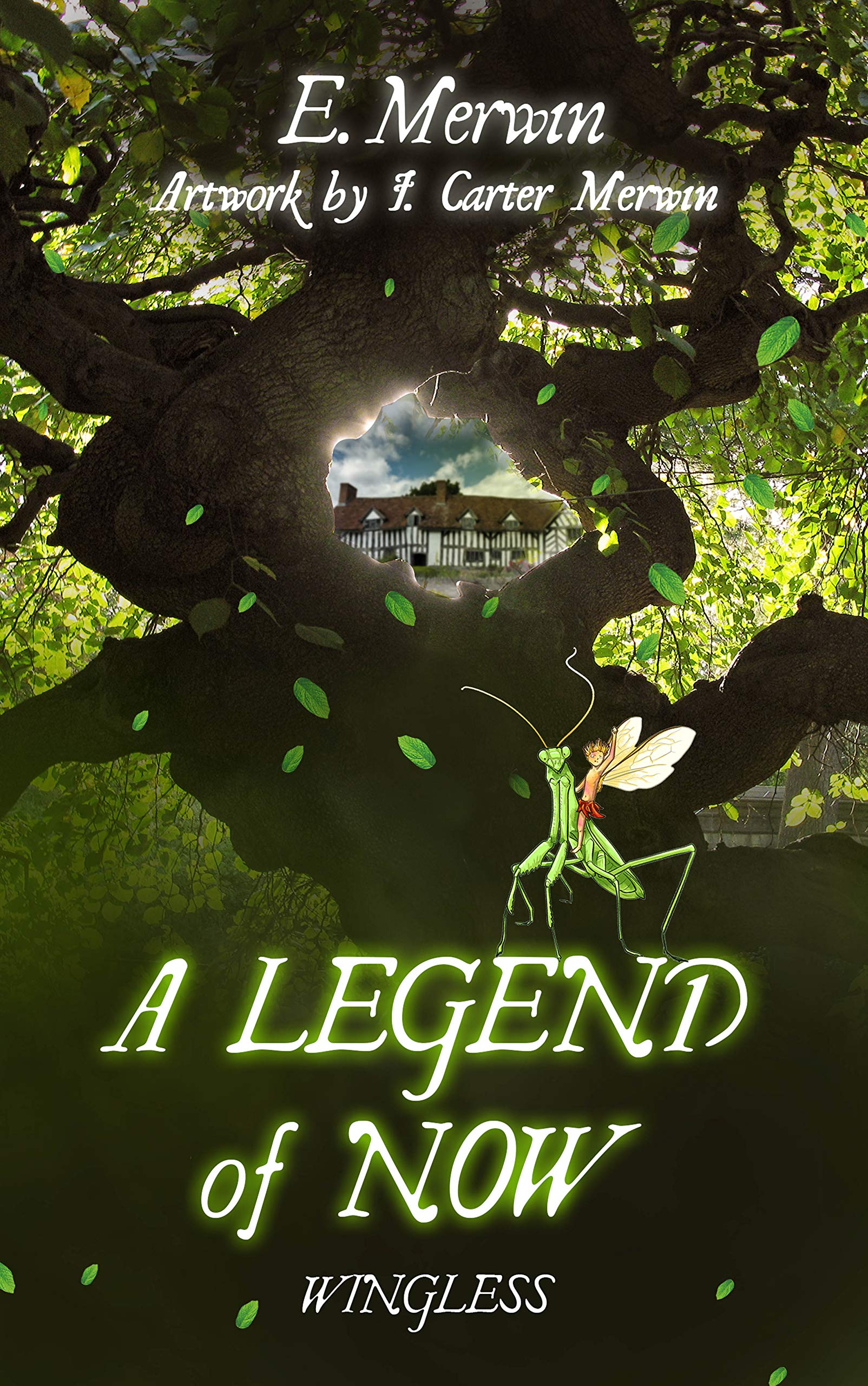 A LEGEND of NOW: Wingless by E. Merwin | Goodreads