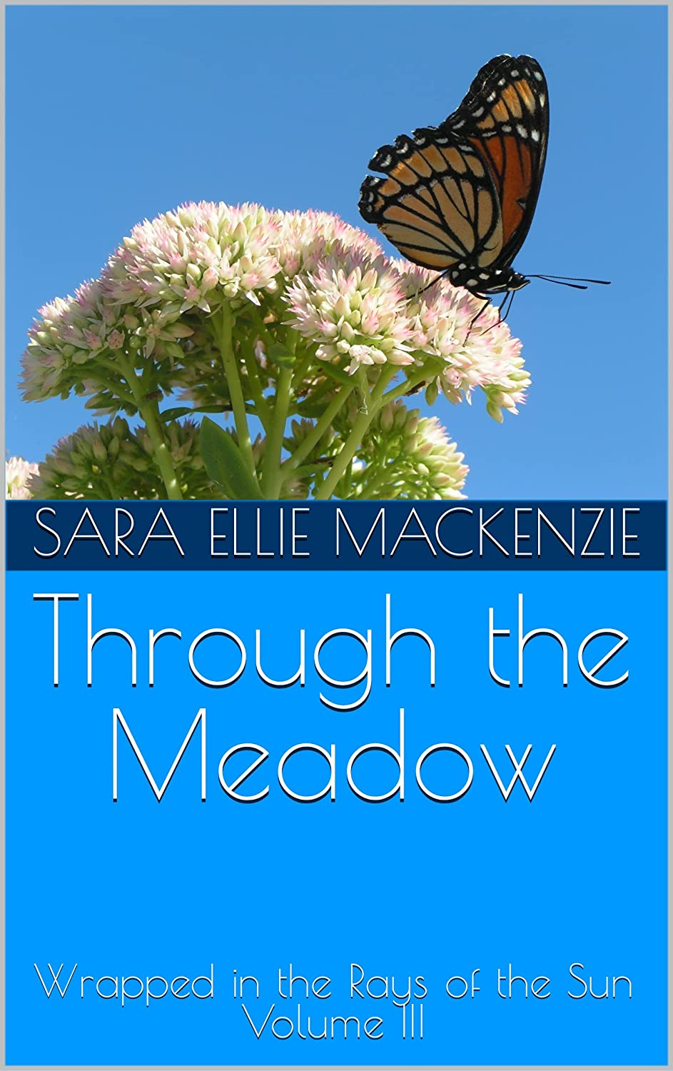 Through the Meadow by Sara Ellie MacKenzie | Goodreads