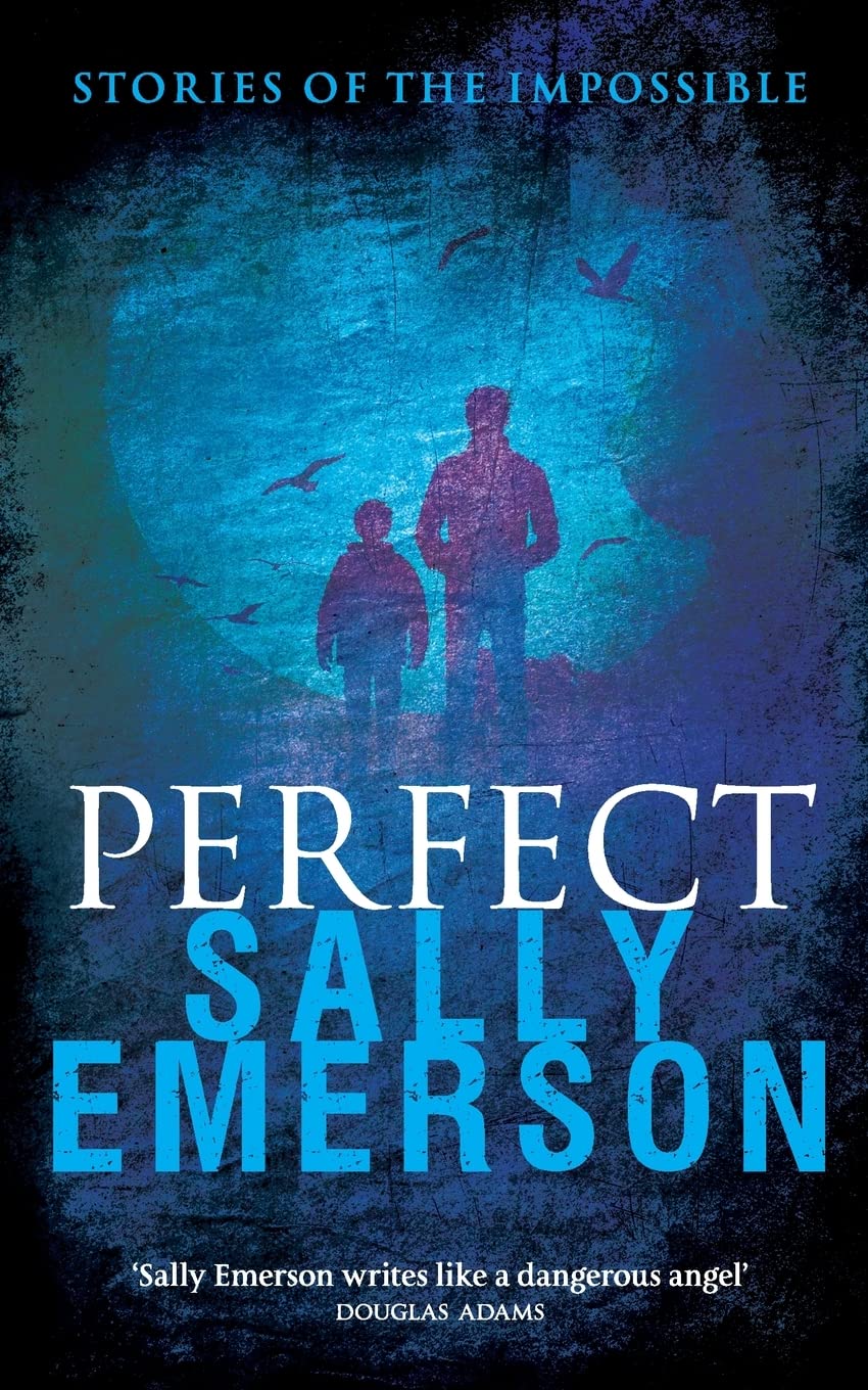 Perfect, Stories of the Impossible: A masterful collection of gripping ...