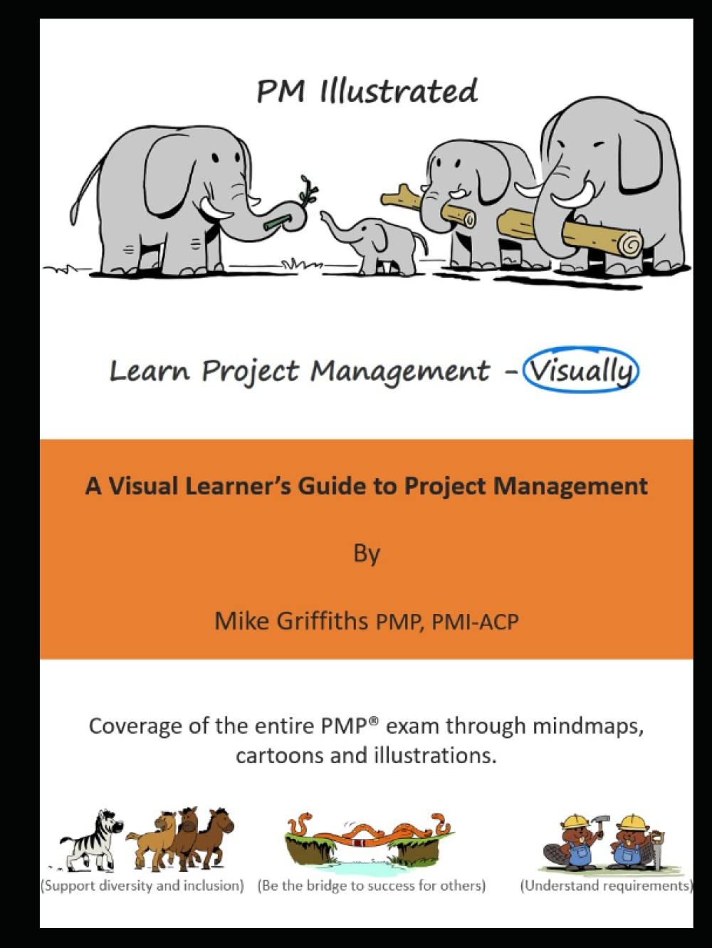 PM Illustrated: A Visual Learner's Guide to Project Management ...