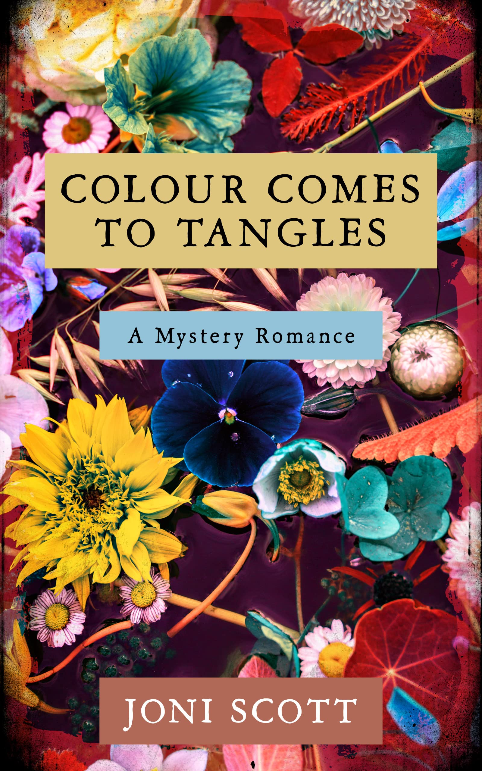 Colour Comes to Tangles: A Mystery Romance by Joni Scott | Goodreads
