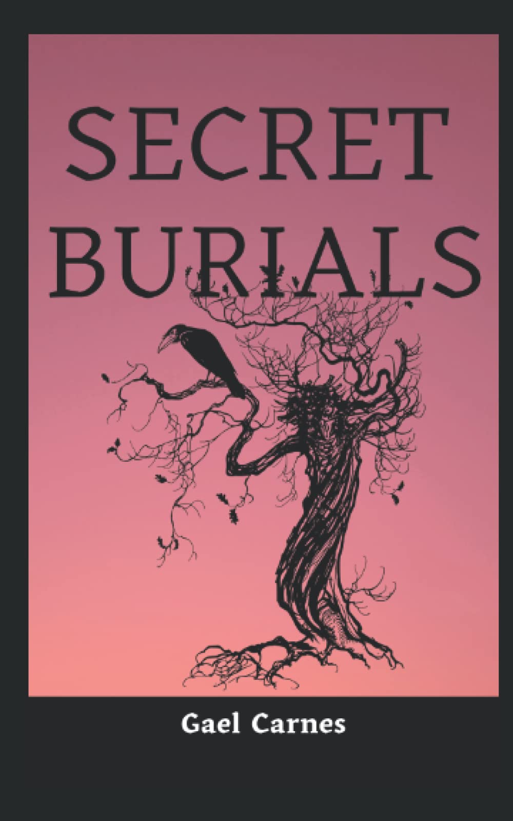 Secret Burials by Gael Carnes | Goodreads