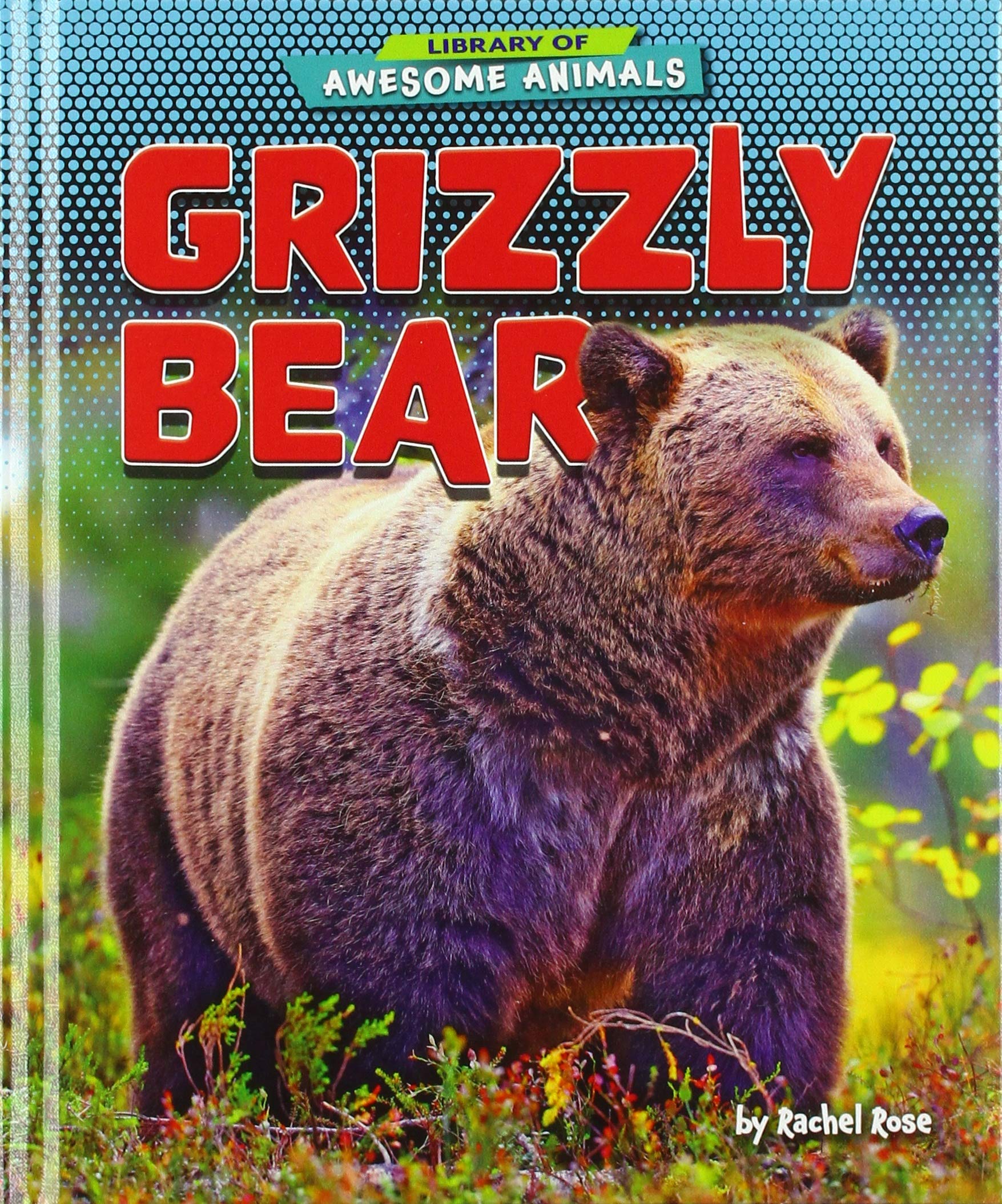 Grizzly Bear - Non-Fiction Reading for Grade 3, Developmental Learning ...