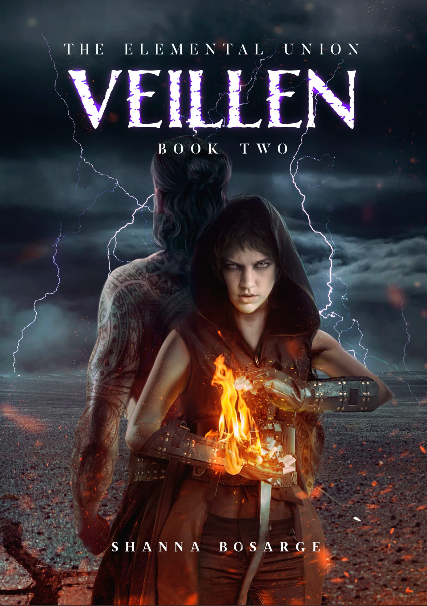 The Elemental Union: Book Two: Veillen by Shanna Bosarge | Goodreads