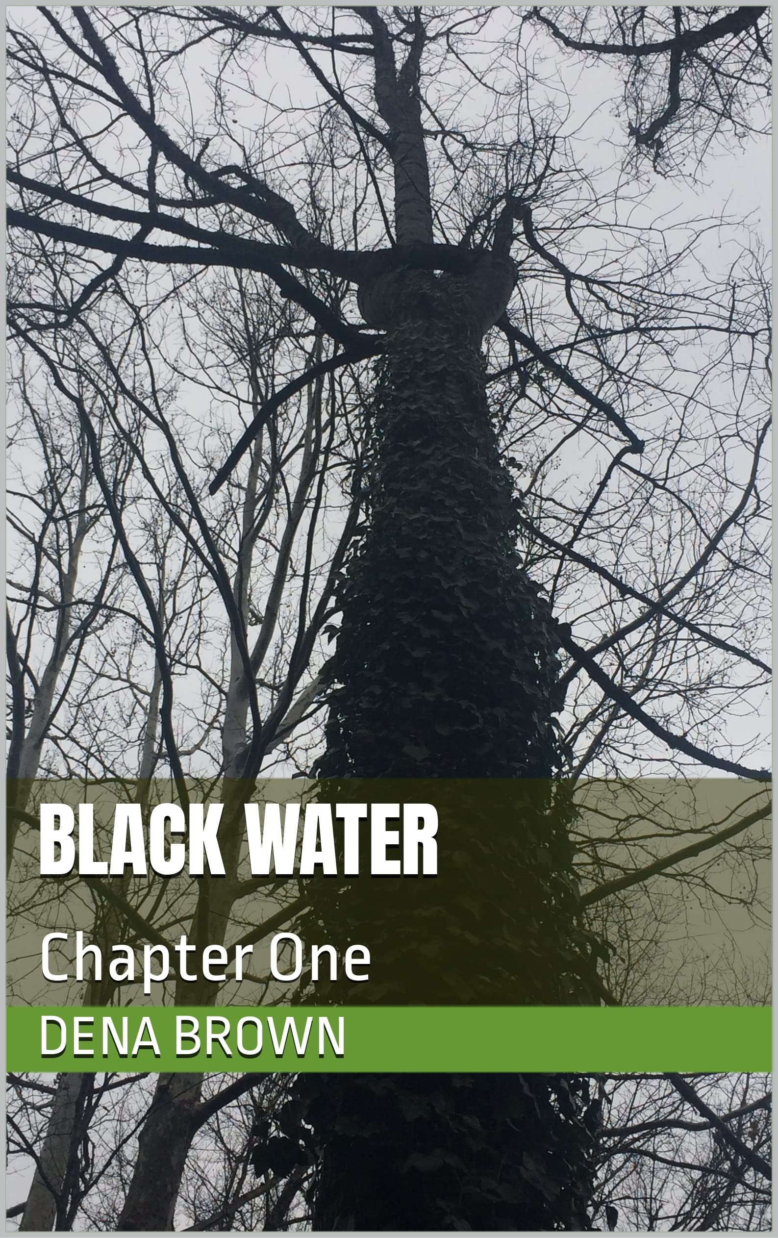 Black Water: Chapter One by Dena Brown | Goodreads