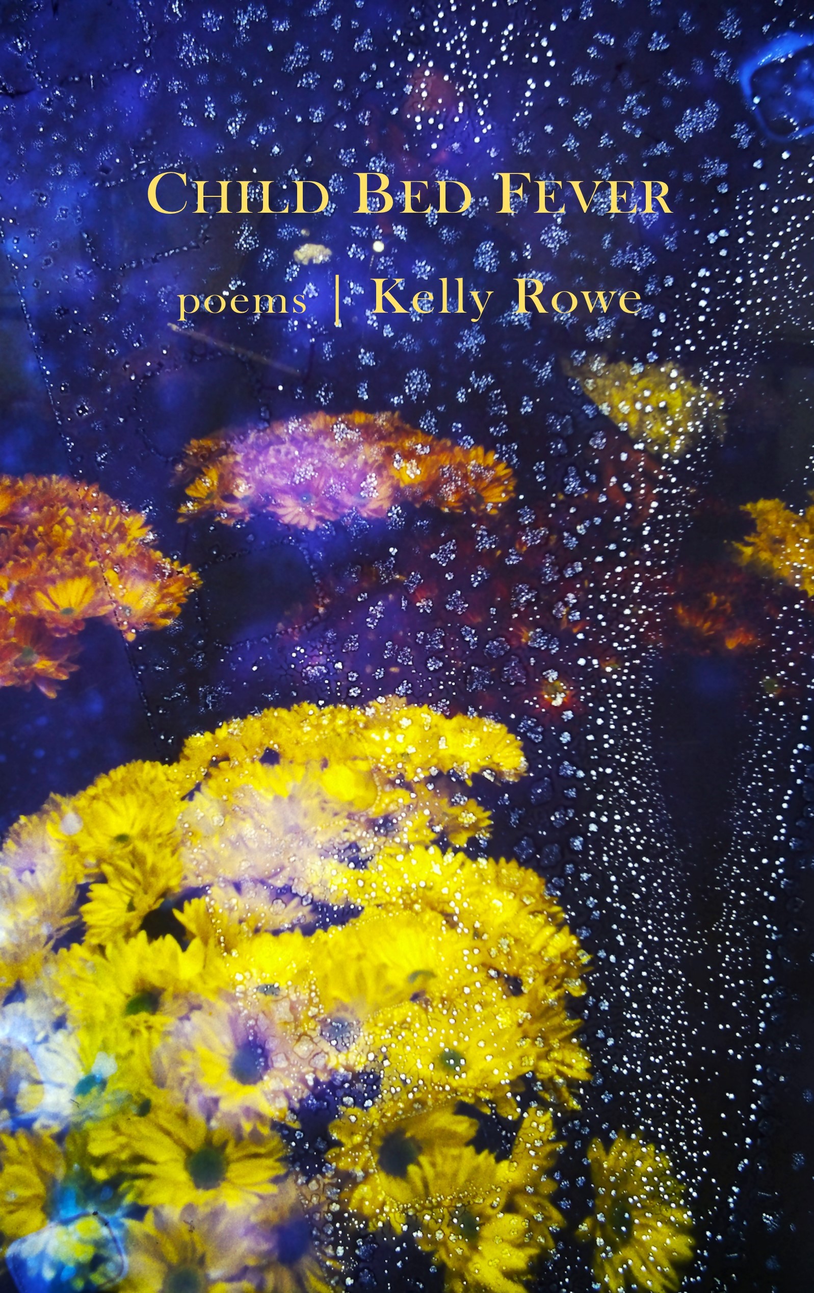 Child Bed Fever (Rane Arroyo Series, #16) by Kelly Rowe | Goodreads