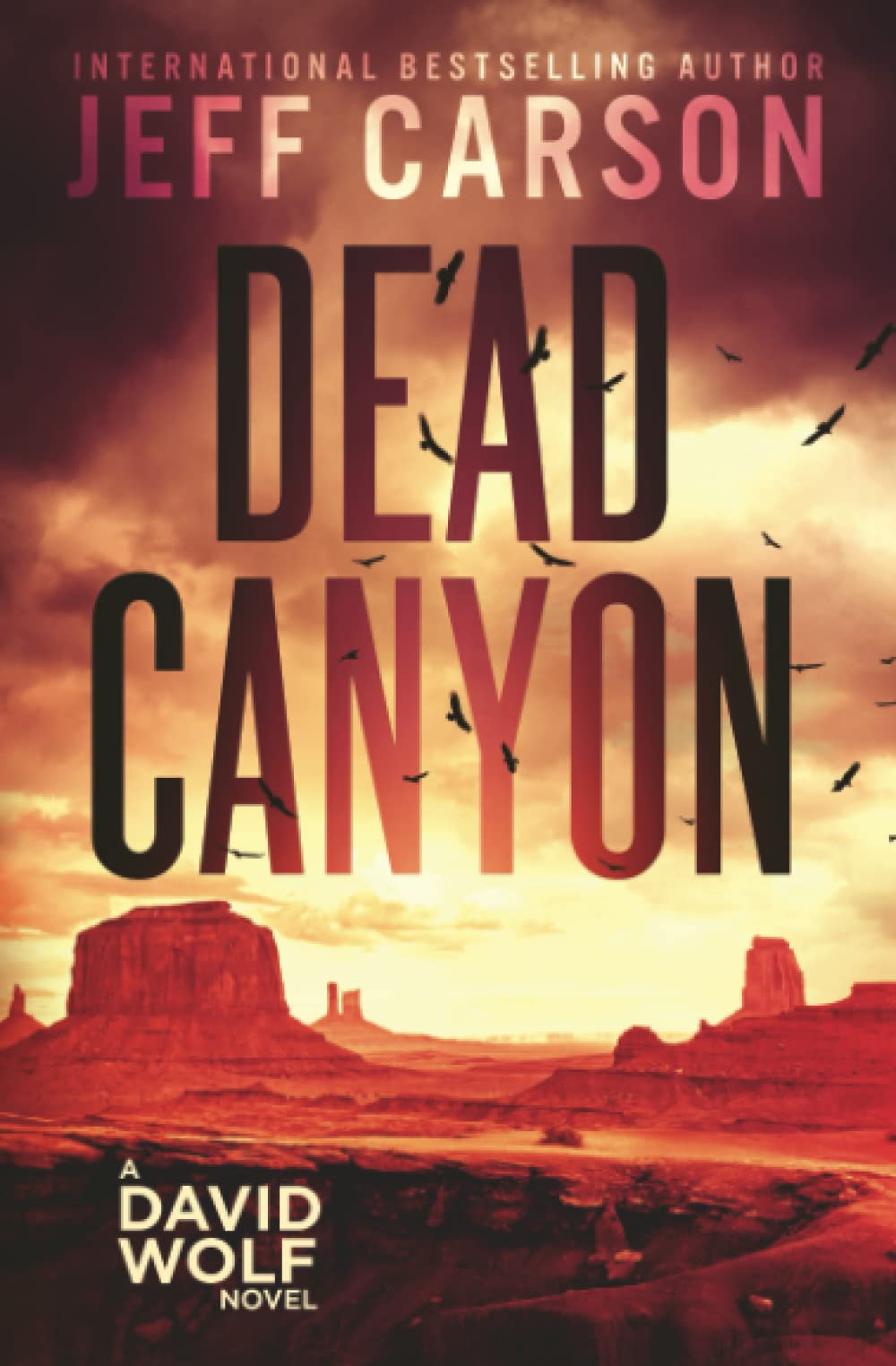 Dead Canyon (David Wolf Mystery Thriller Series) by Jeff Carson | Goodreads
