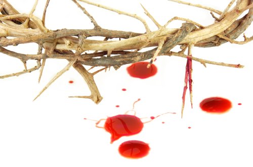 Drip: A Poem by Dr. Scott Young by Scott Young | Goodreads