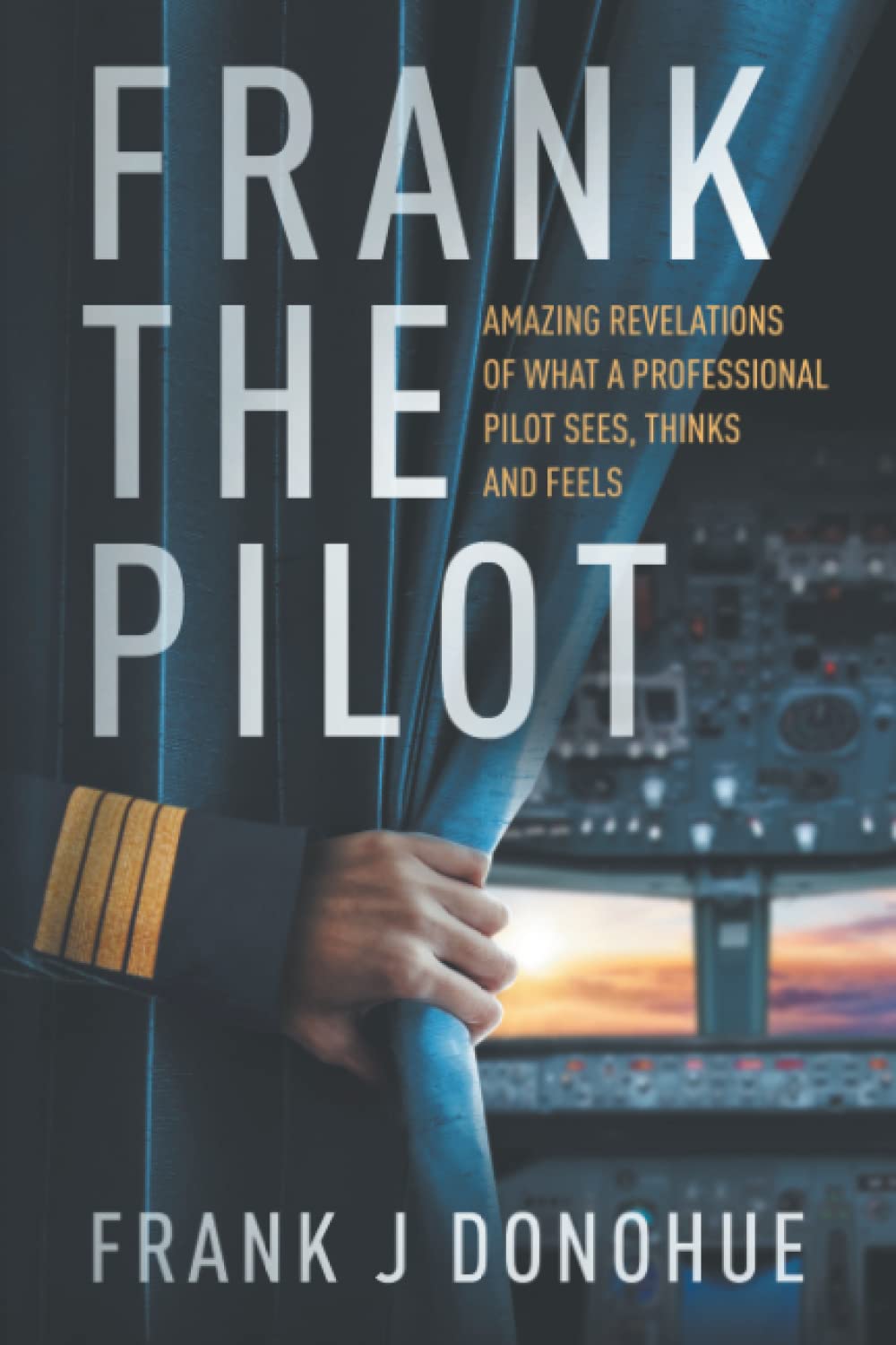 Frank the Pilot: Amazing Revelations Of What A Professional Pilot Sees ...