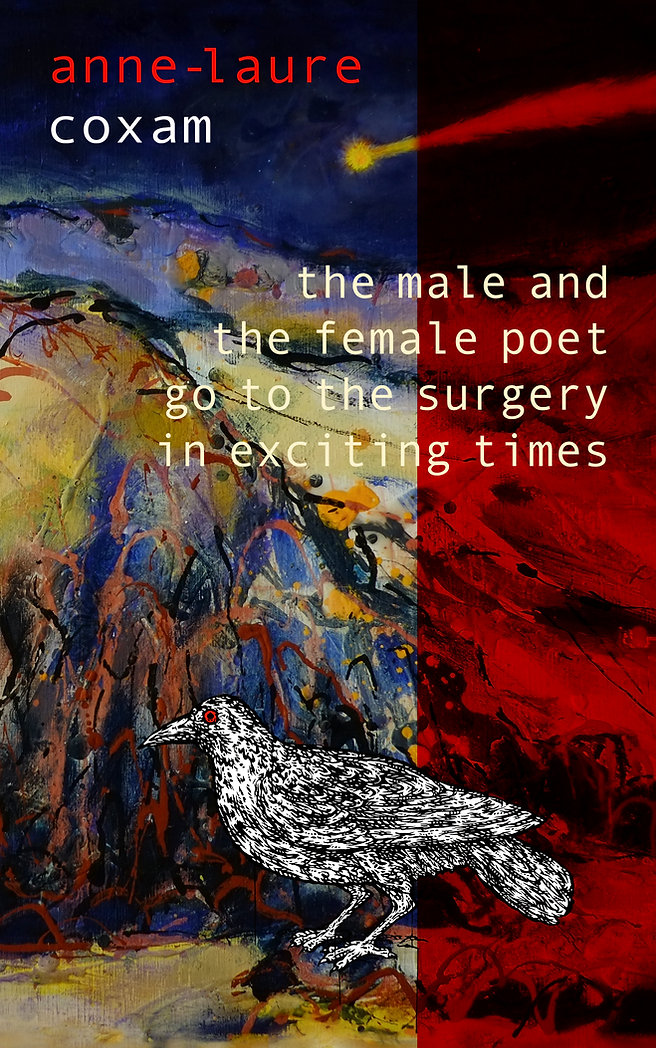 the male and the female poet go to the surgery in exciting times by ...