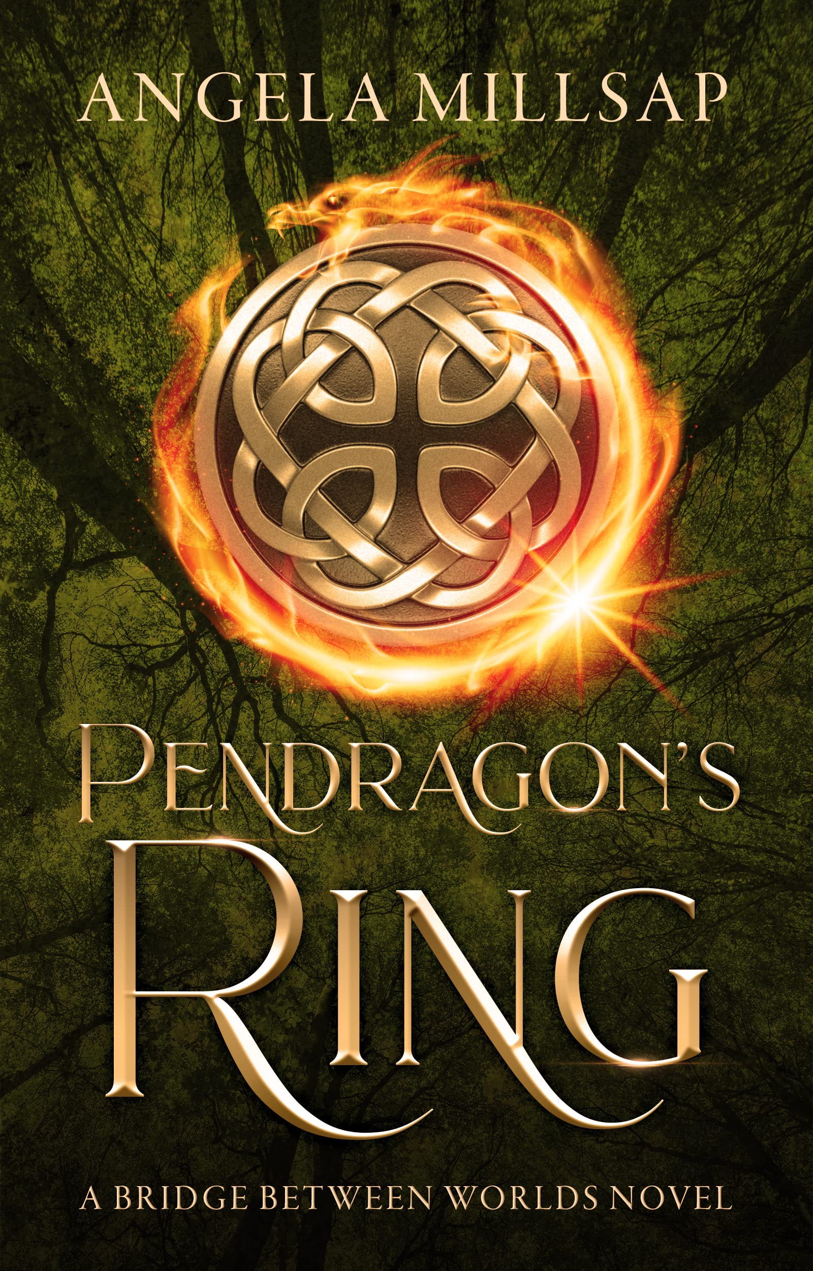 Pendragon's Ring: A Young Adult Arthurian Time Travel Fantasy by Angela ...