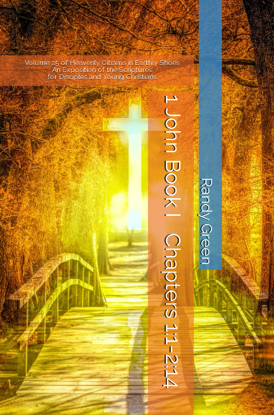 1 John Book III: Chapters 4:1-5:21: Volume 25 of Heavenly Citizens in ...