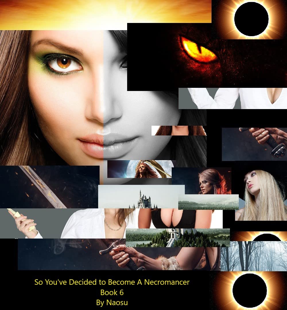 So You've Decided to Become A Necromancer, Book 6 by Naosu NR | Goodreads