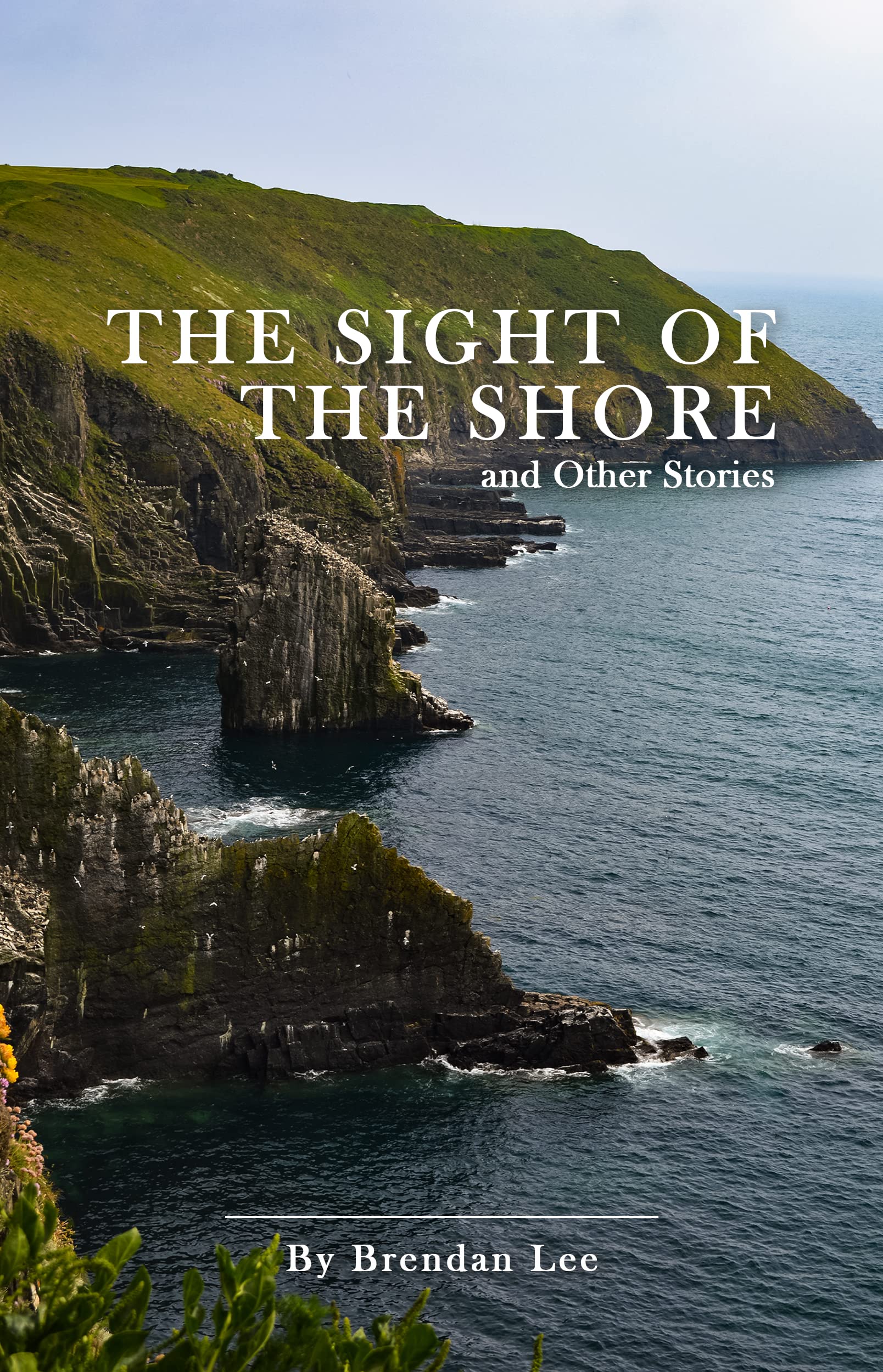 The Sight of the Shore and Other Stories by Brendan Lee | Goodreads
