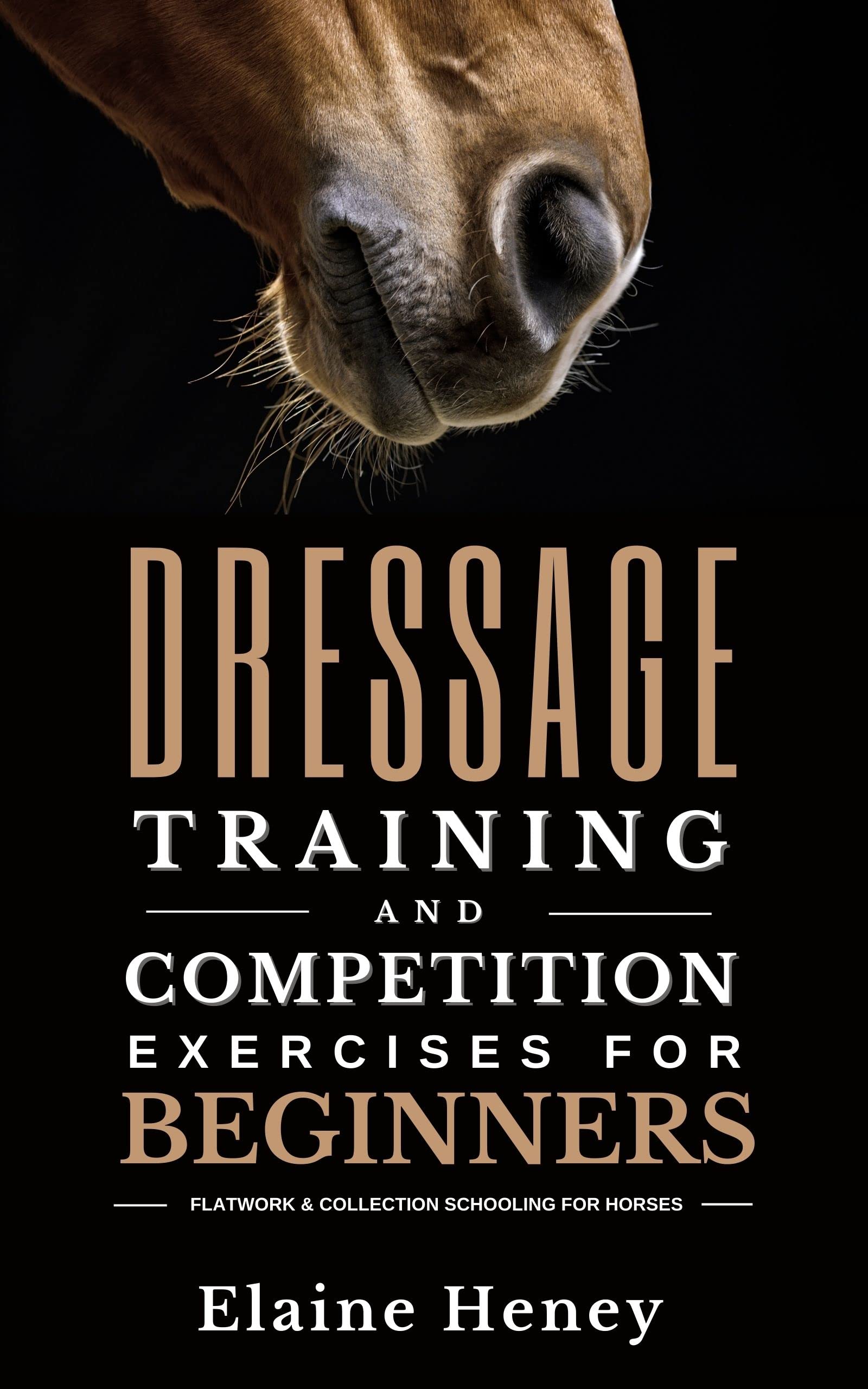 Dressage Training and Competition Exercises for Beginners: Flatwork ...