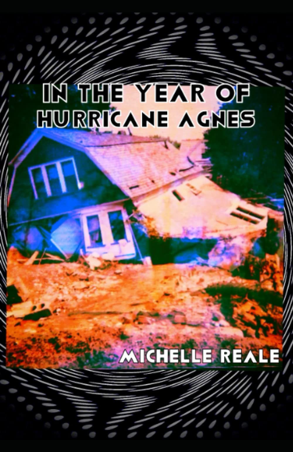 In the Year of Hurricane Agnes by Michelle Reale | Goodreads
