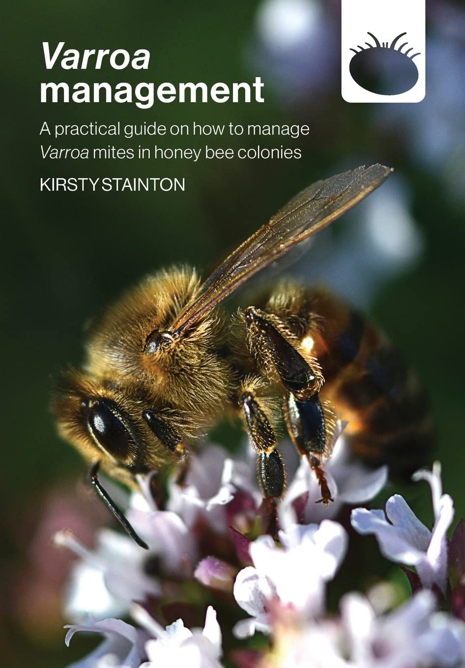 Varroa management: a practical guide on how to manage Varroa mites in ...