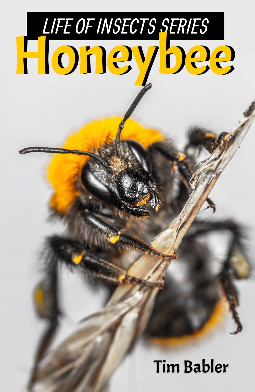 Life of Insects - Honey Bee by Tim Babler | Goodreads