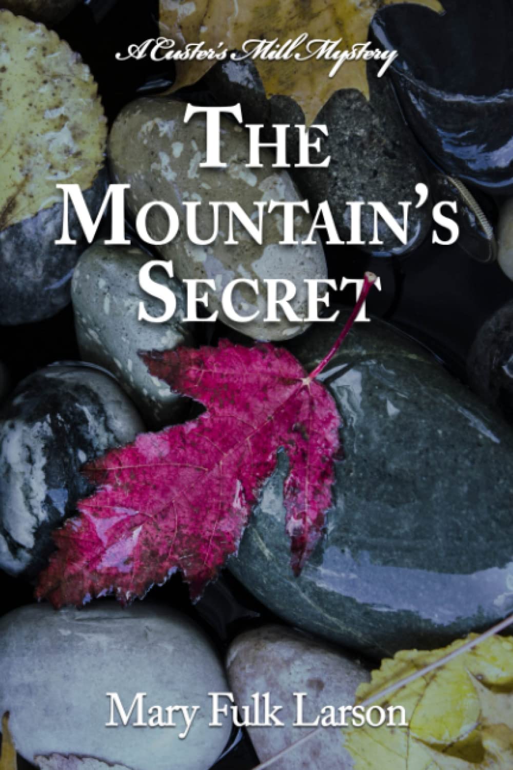 The Mountain's Secret (Custer's Mill Mysteries) by Mary Fulk Larson ...