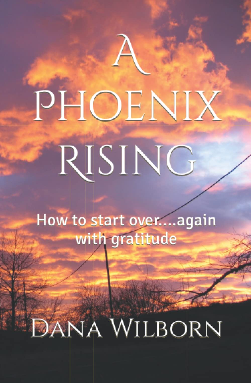 A Phoenix Rising: How to start over....again with gratitude by Dana ...