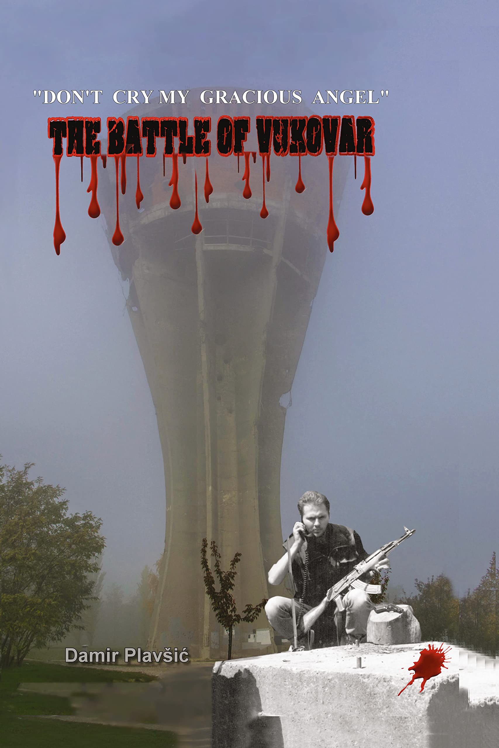 THE BATTLE OF VUKOVAR: Don’t Cry My Gracious Angel by Damir Plavšić ...