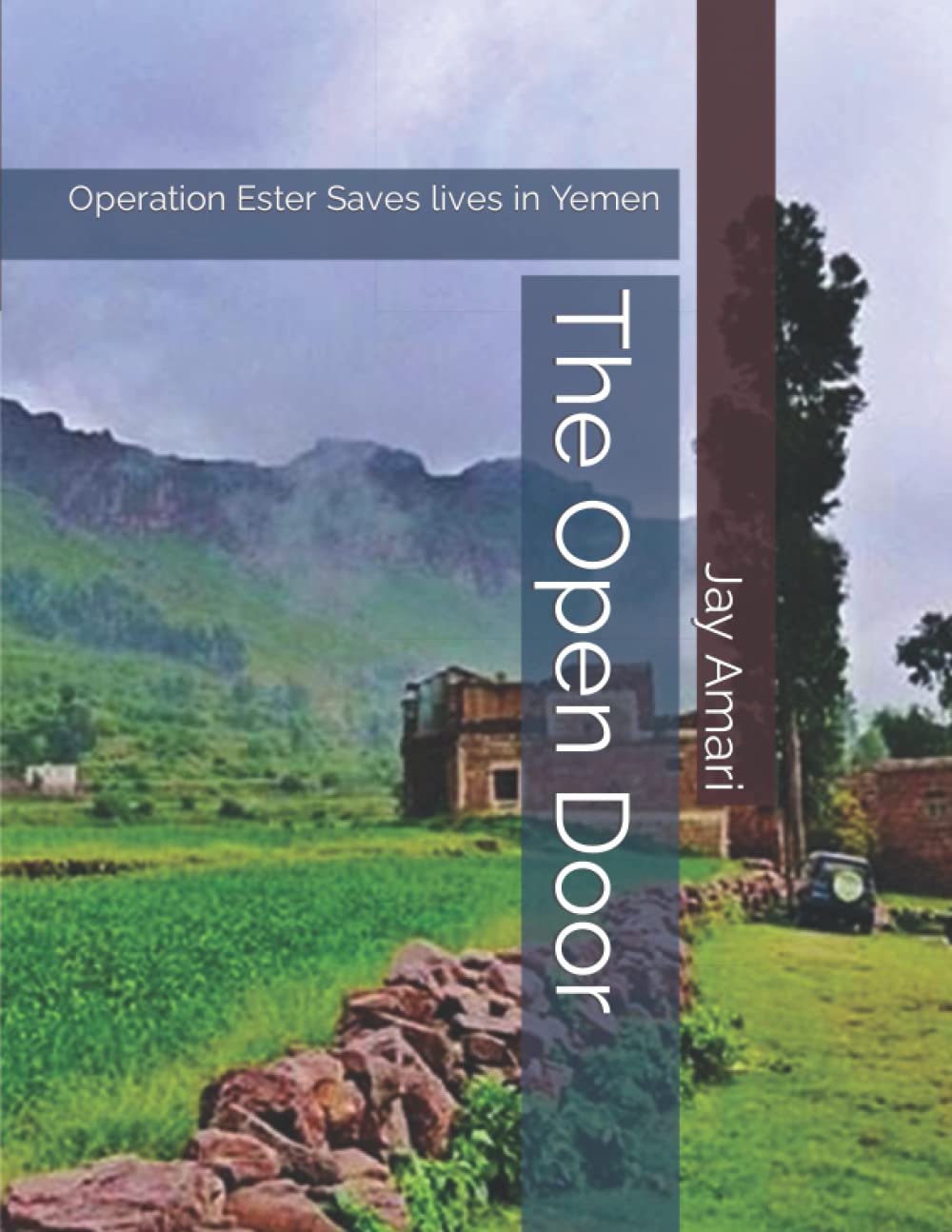 The Open Door: Operation Ester Saves lives in Yemen by Jay Amari ...