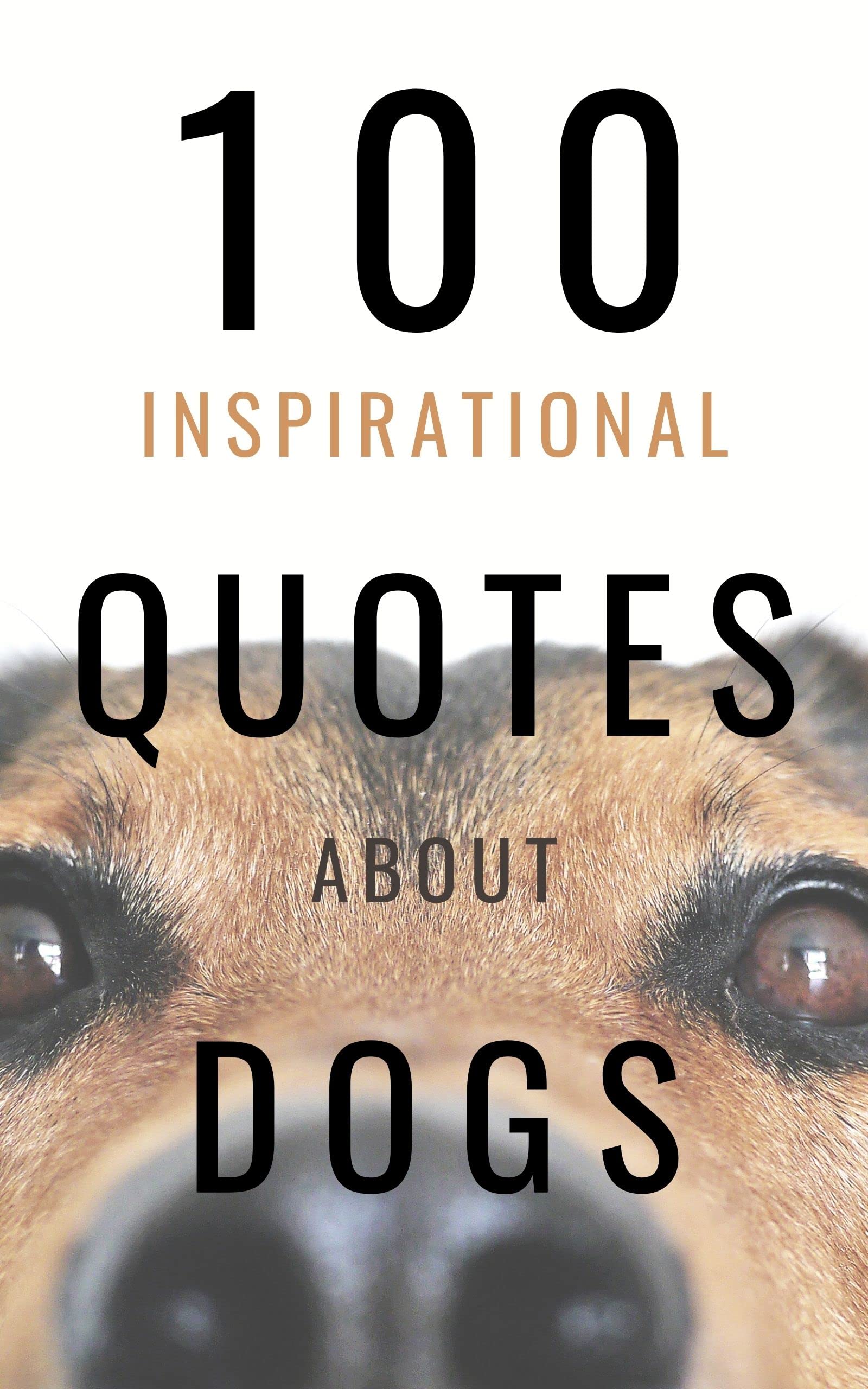 100 Inspirational Quotes About Dogs: Get Inspired With This Adorable ...