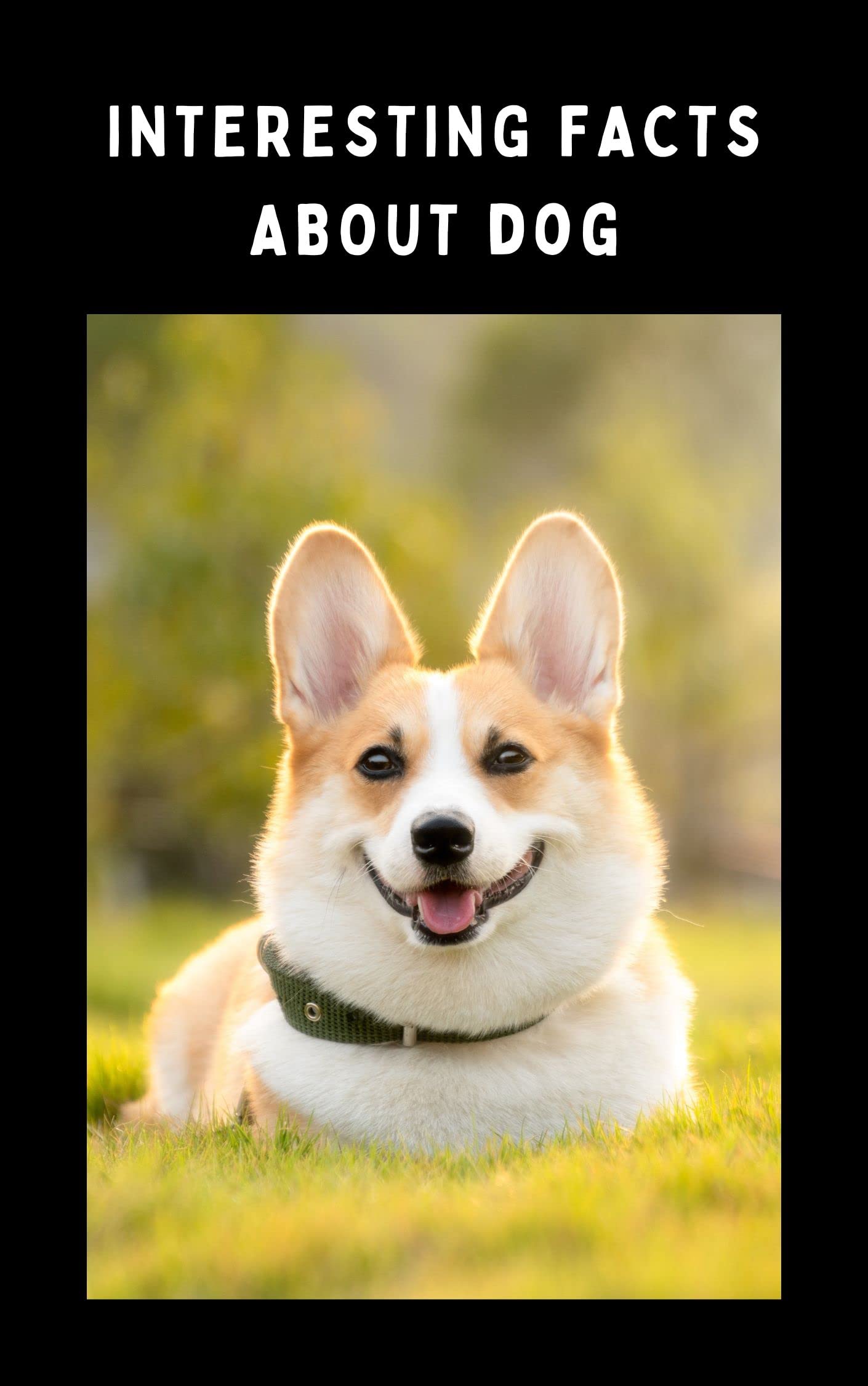 Interesting Facts About Dog By Mouras Thipursiyus Goodreads interesting-facts-about-dog-by-mouras-thipursiyus-goodreads