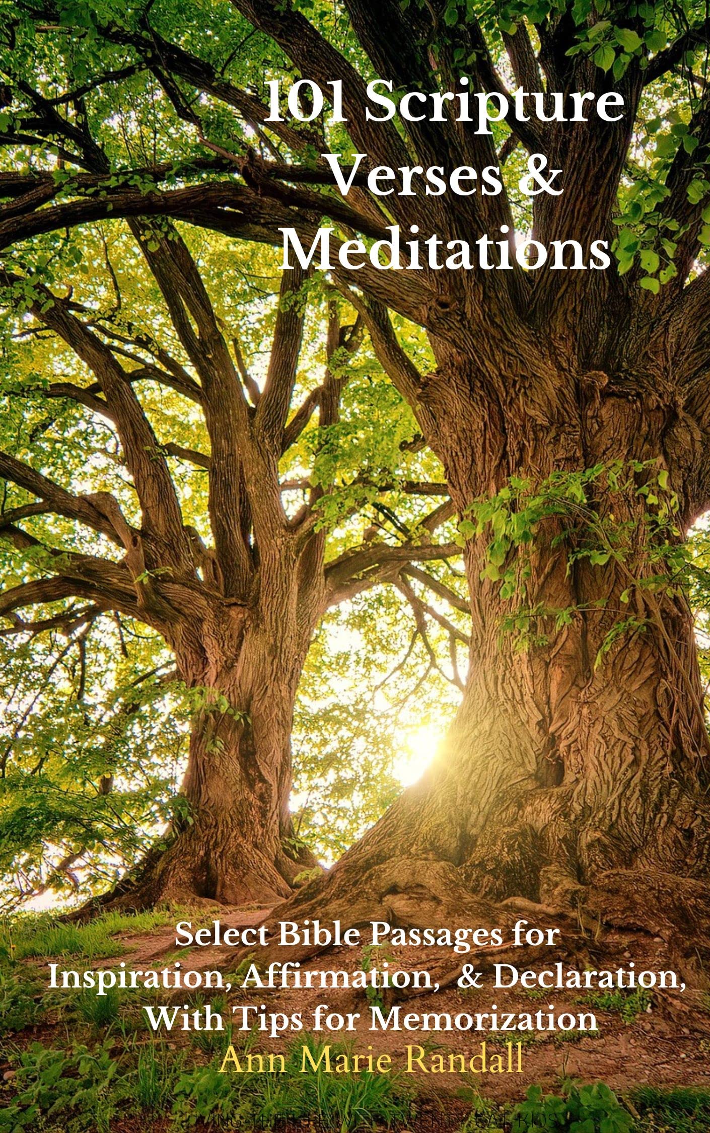 101 SCRIPTURE VERSES & MEDITATIONS: SELECT BIBLE PASSAGES FOR ...