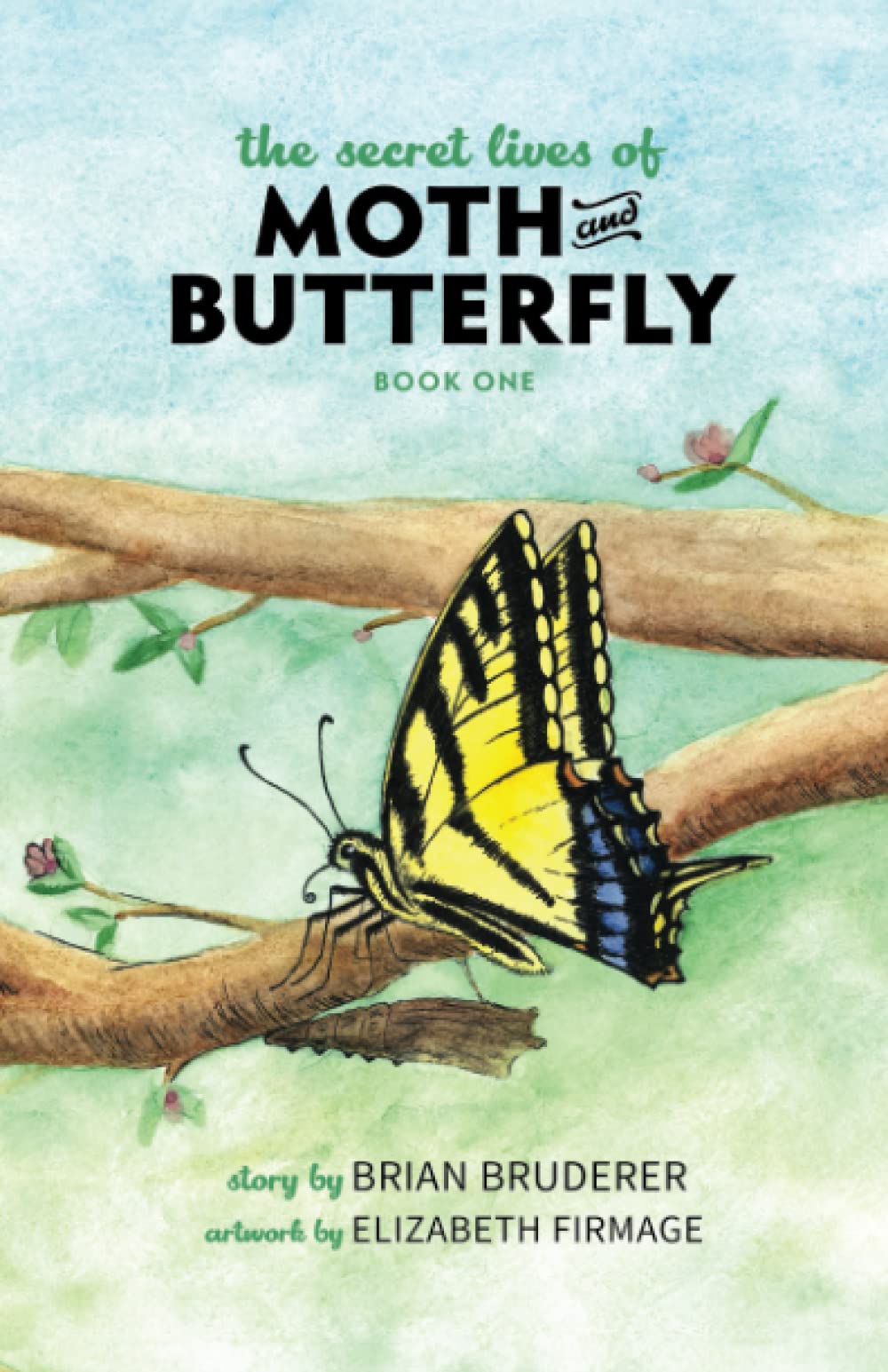 The Secret Lives of Moth and Butterfly: Book One by Brian Bruderer ...