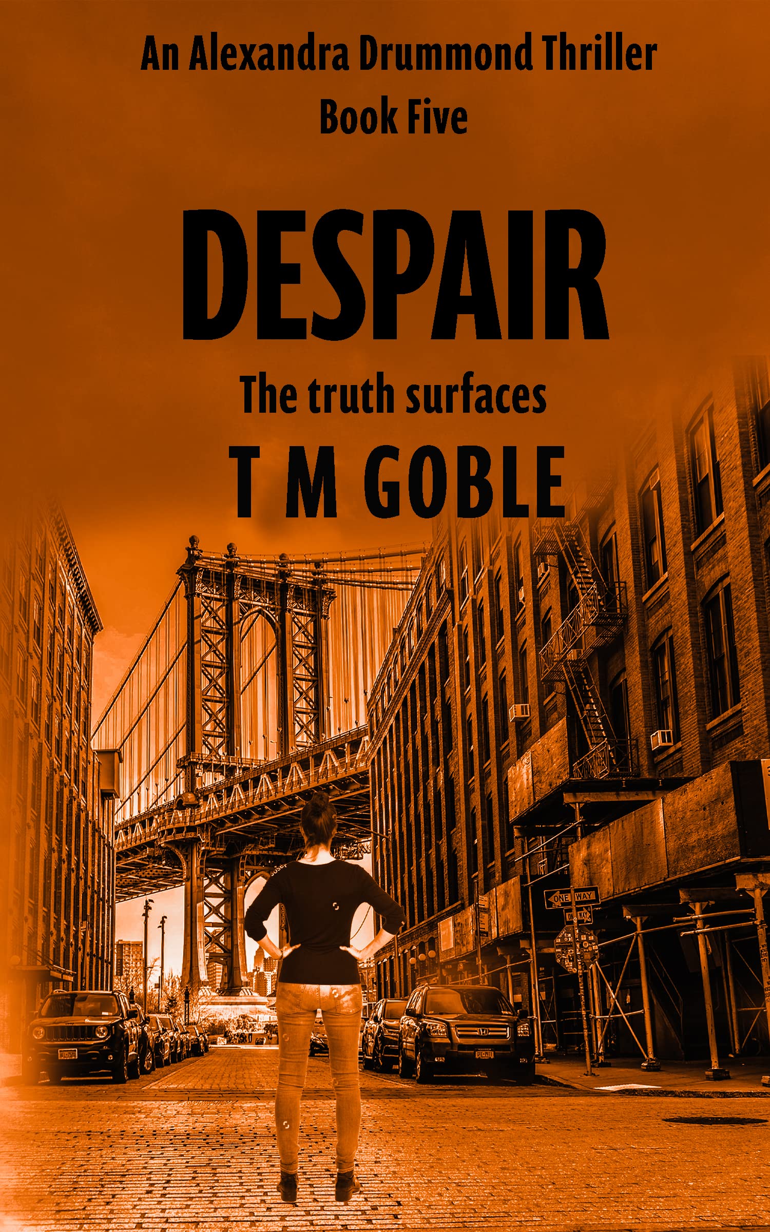 Despair: Book Five (Alexandra Drummond Thrillers 5) by T M Goble ...