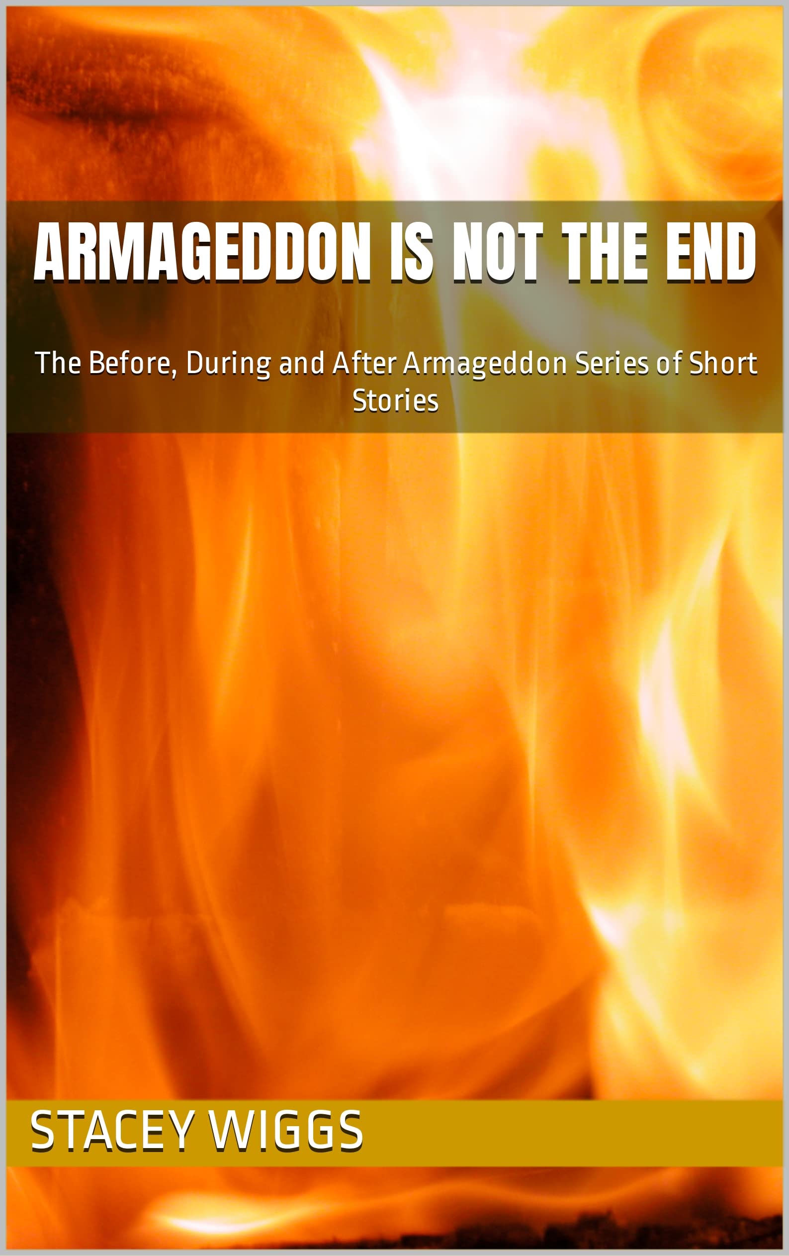 Armageddon is Not the End: The Before, During and After Armageddon ...