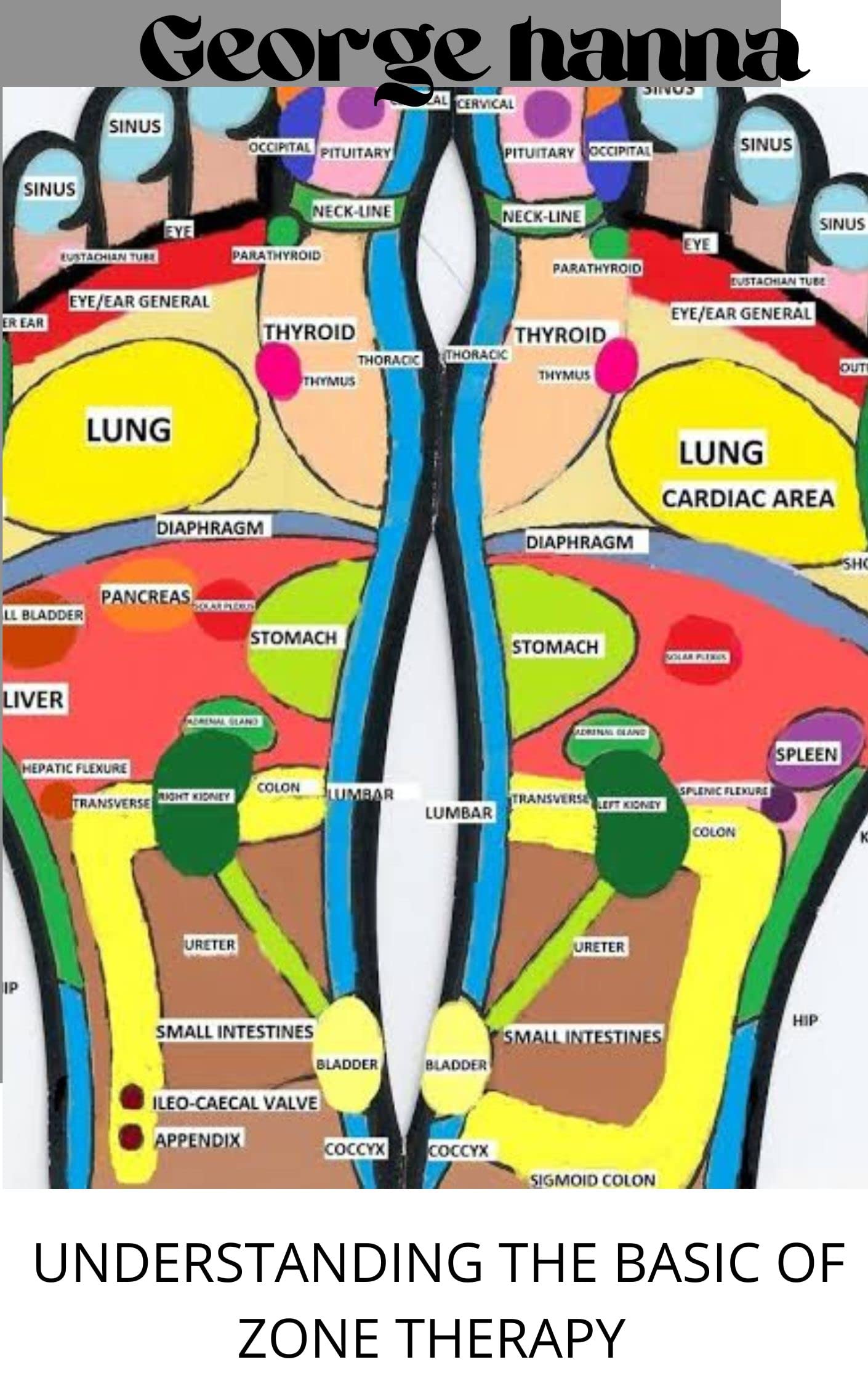 Understanding The Basic of Zone Therapy by George Hanna | Goodreads