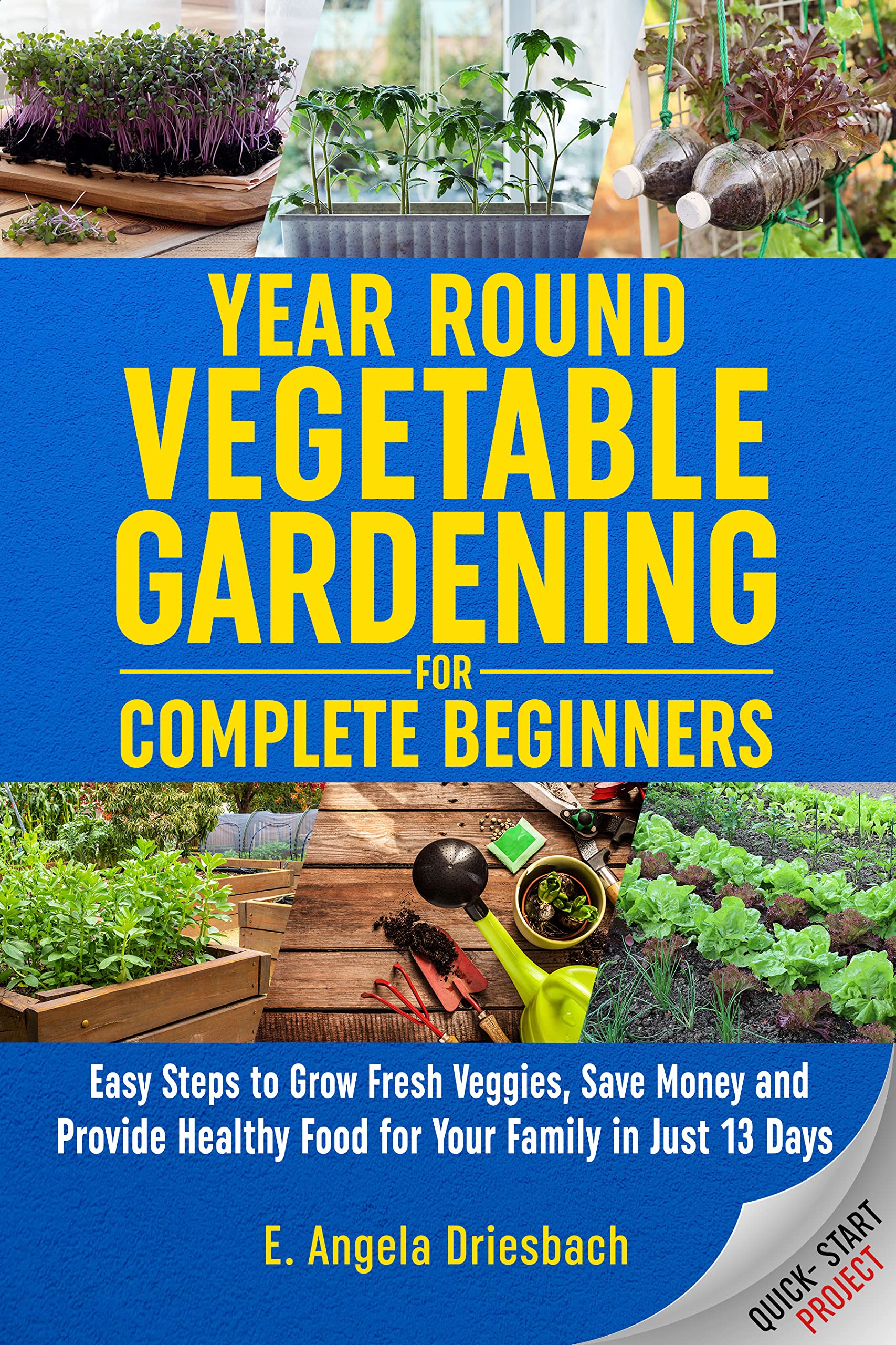 Year Round Vegetable Gardening for Complete Beginners: Easy Steps to ...
