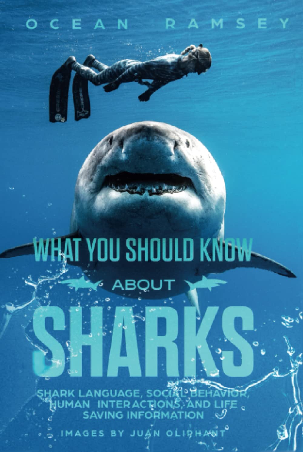 WHAT YOU SHOULD KNOW ABOUT SHARKS (New Full Color and Hardcover Version ...