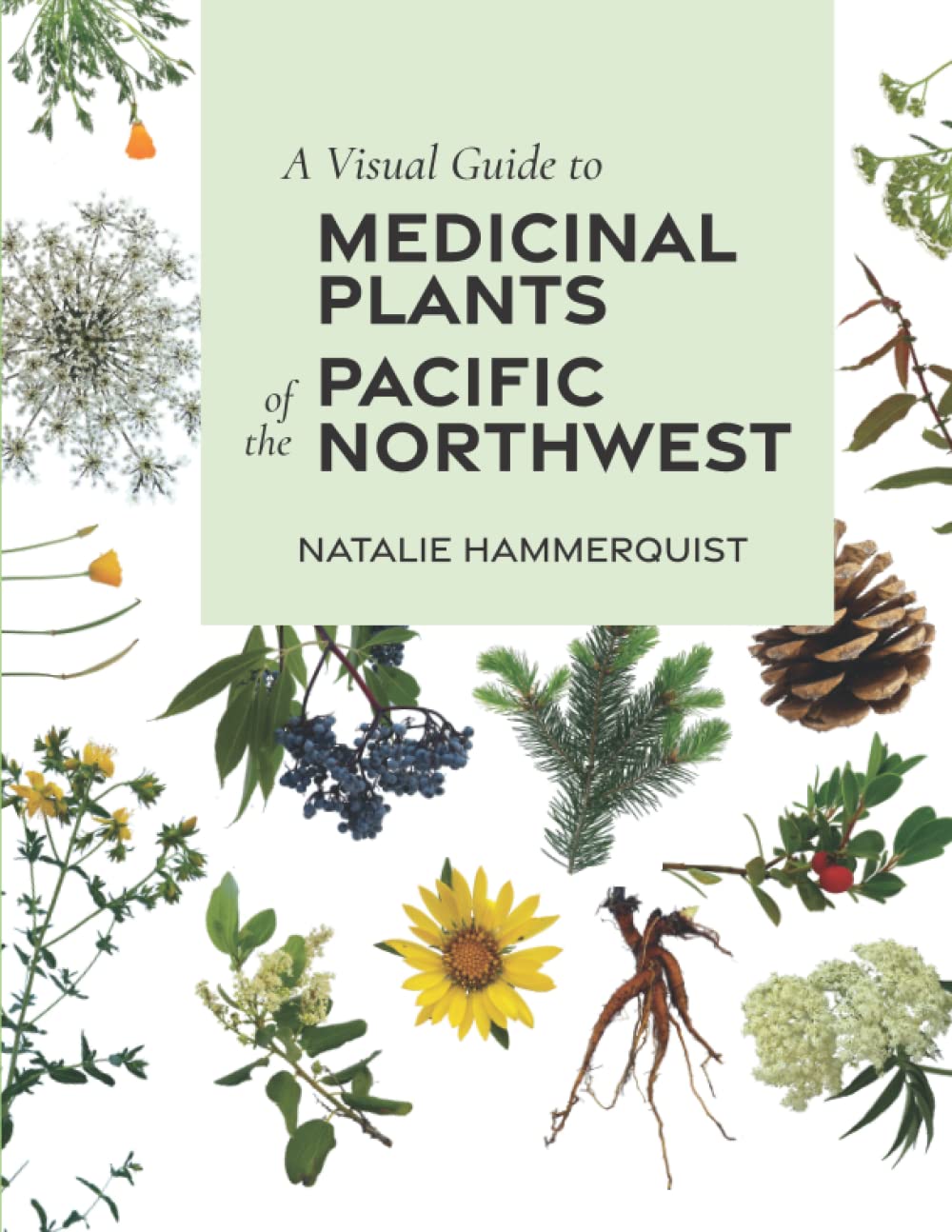 A Visual Guide to Medicinal Plants of the Pacific Northwest by Natalie ...