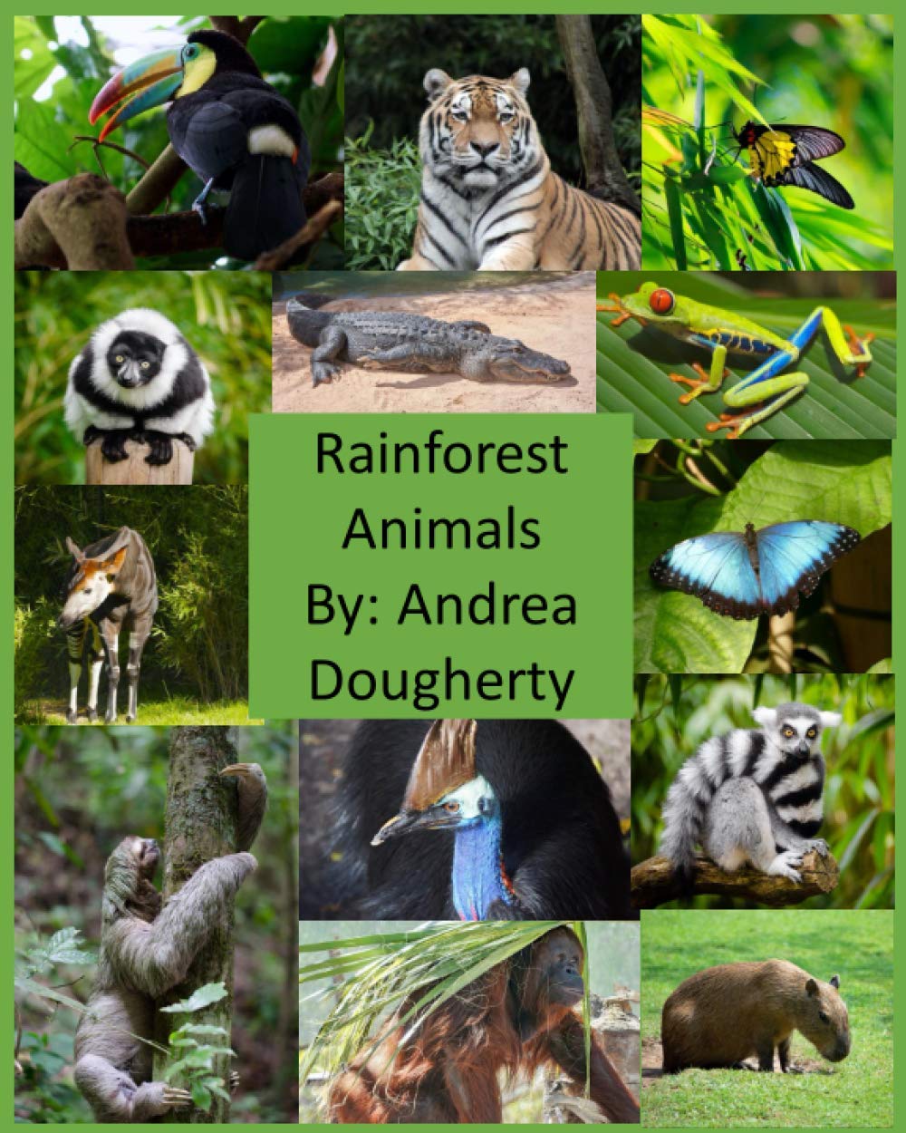Rainforest Animals by Andrea Dougherty | Goodreads