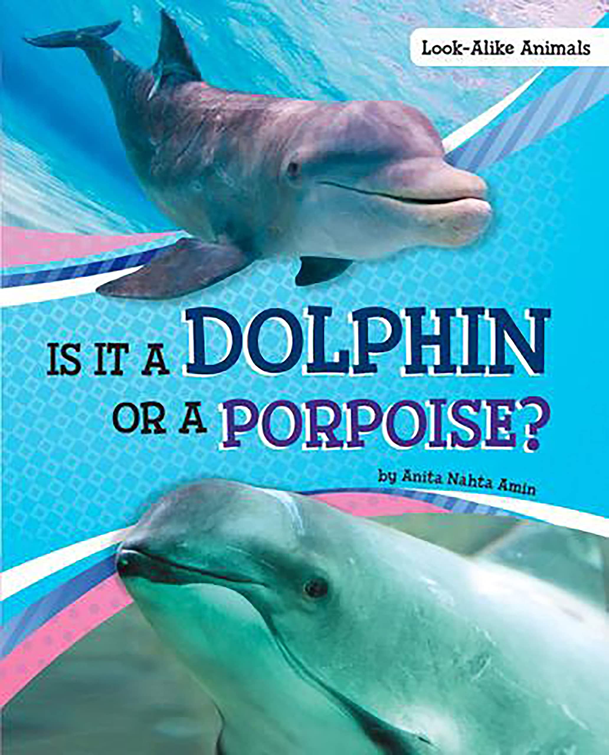 Is It a Dolphin or a Porpoise? by Anita Nahta Amin | Goodreads