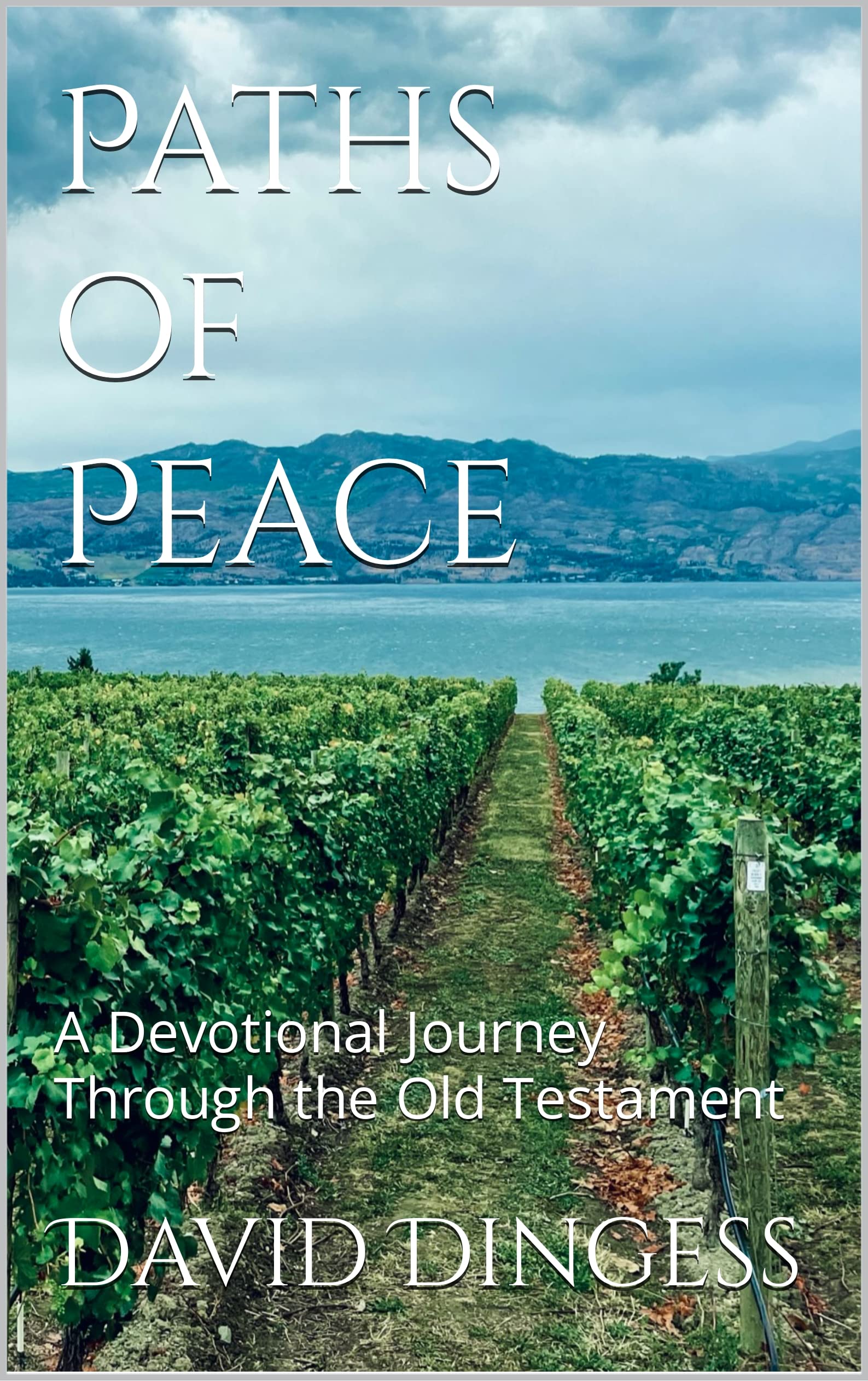 Paths of Peace: A Devotional Journey Through the Old Testament by David ...