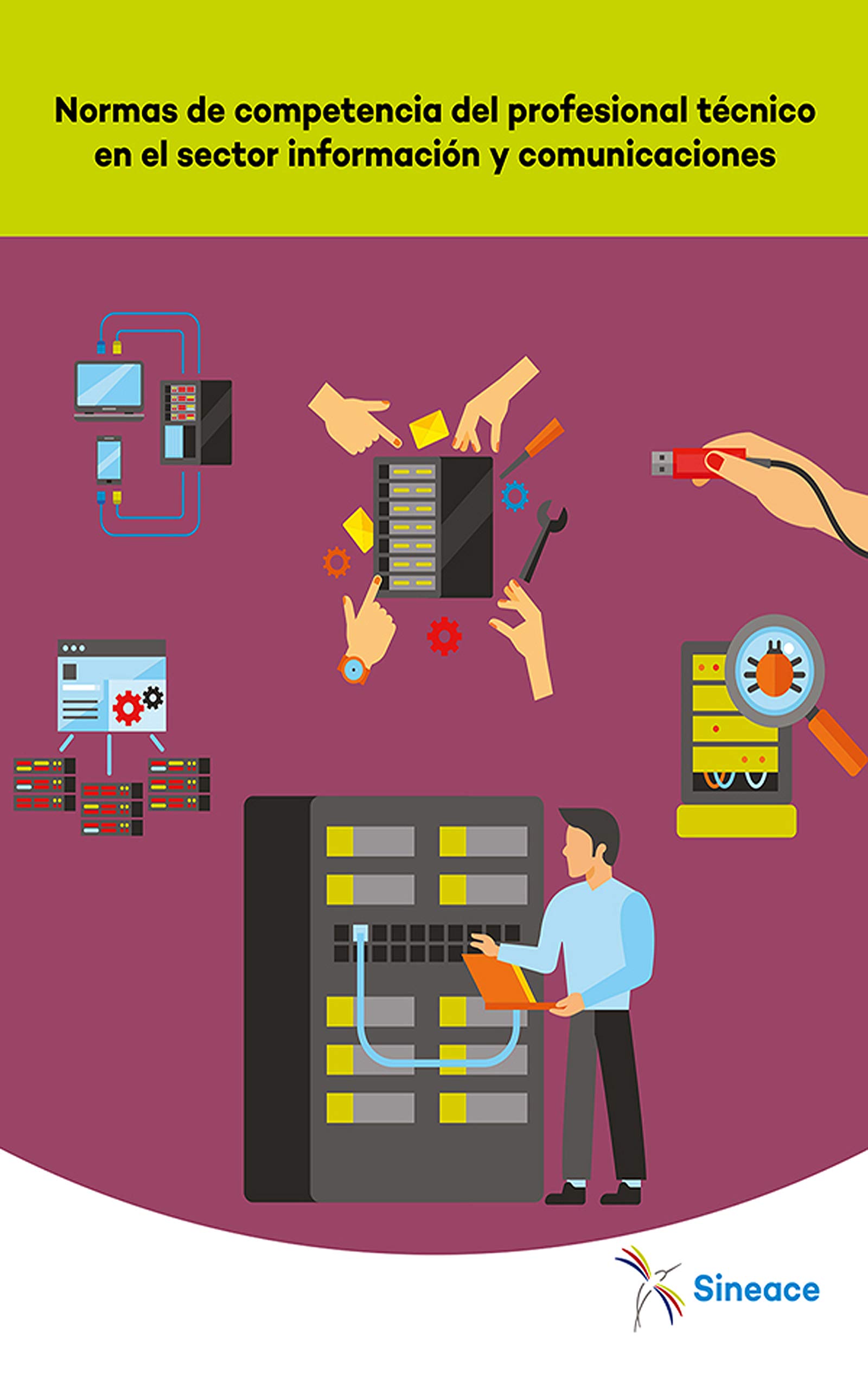 Normas de competencia del profesional técnico en el sector información y comunicaciones ...