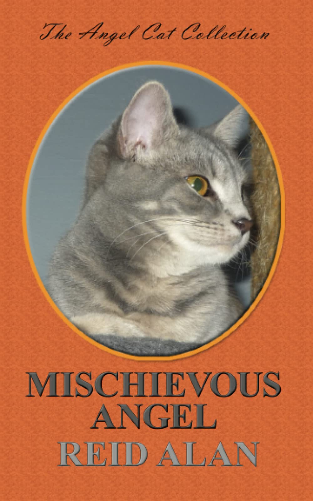 Mischievous Angel (The Angel Cat Collection) by Reid Alan | Goodreads