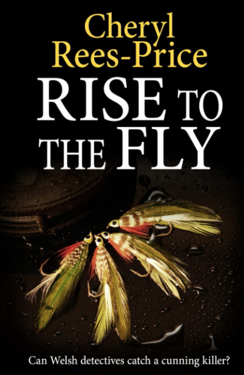 Rise to the Fly: Can Welsh detectives catch a cunning killer? by Cheryl ...