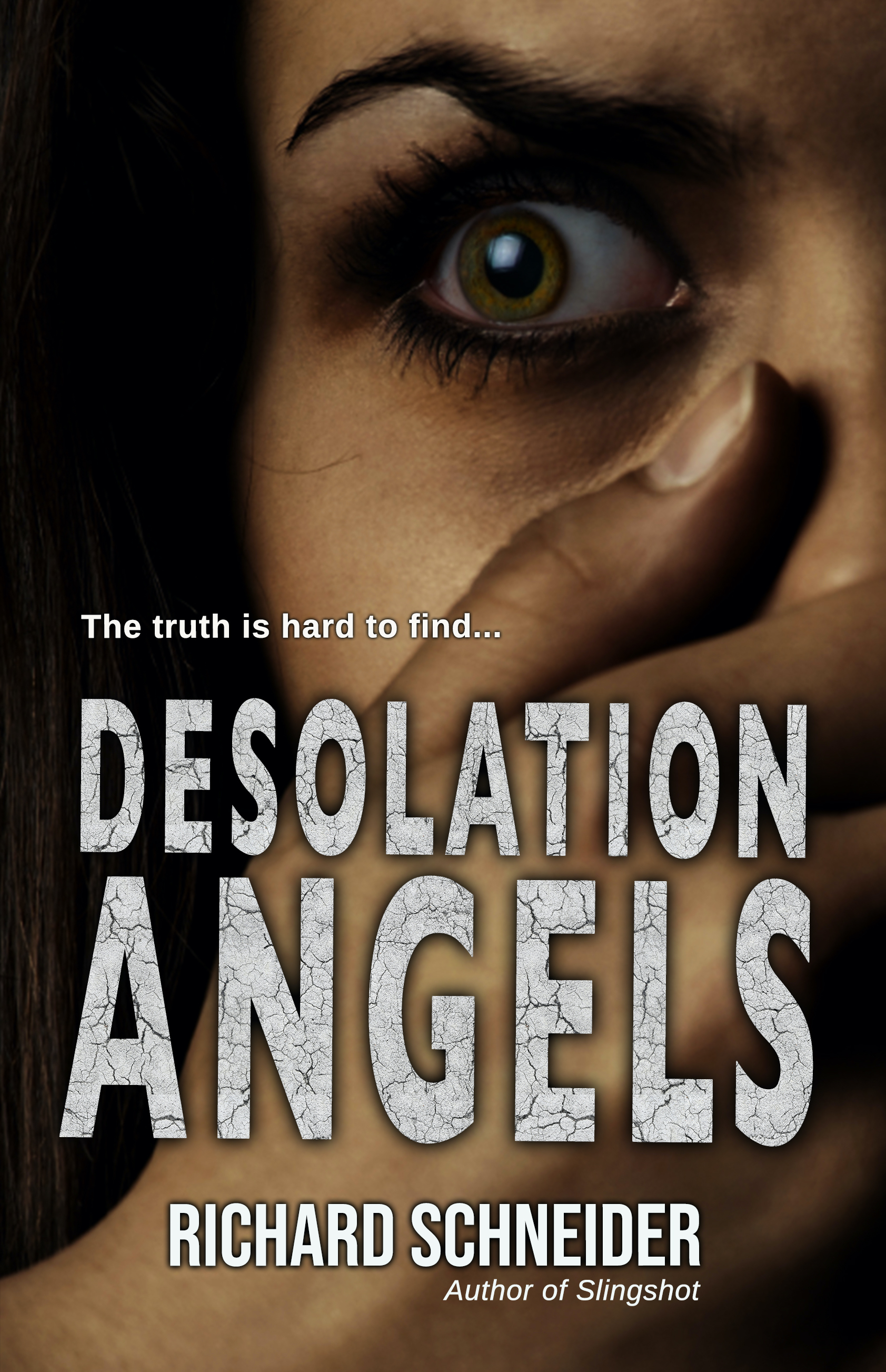 Desolation Angels by Richard Schneider | Goodreads