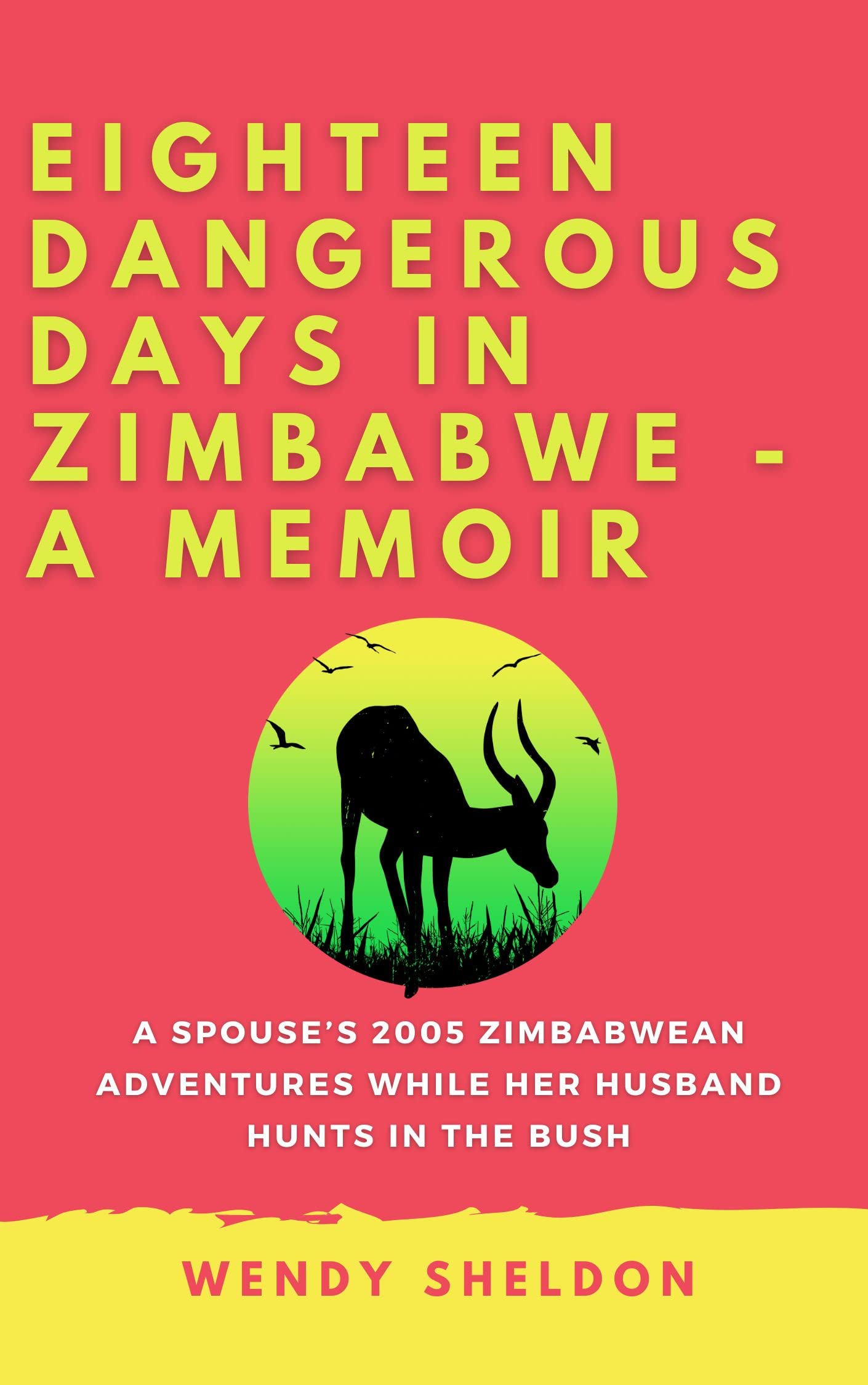 Eighteen Dangerous Days in Zimbabwe - A Memoir: A Spouse's 2005 ...
