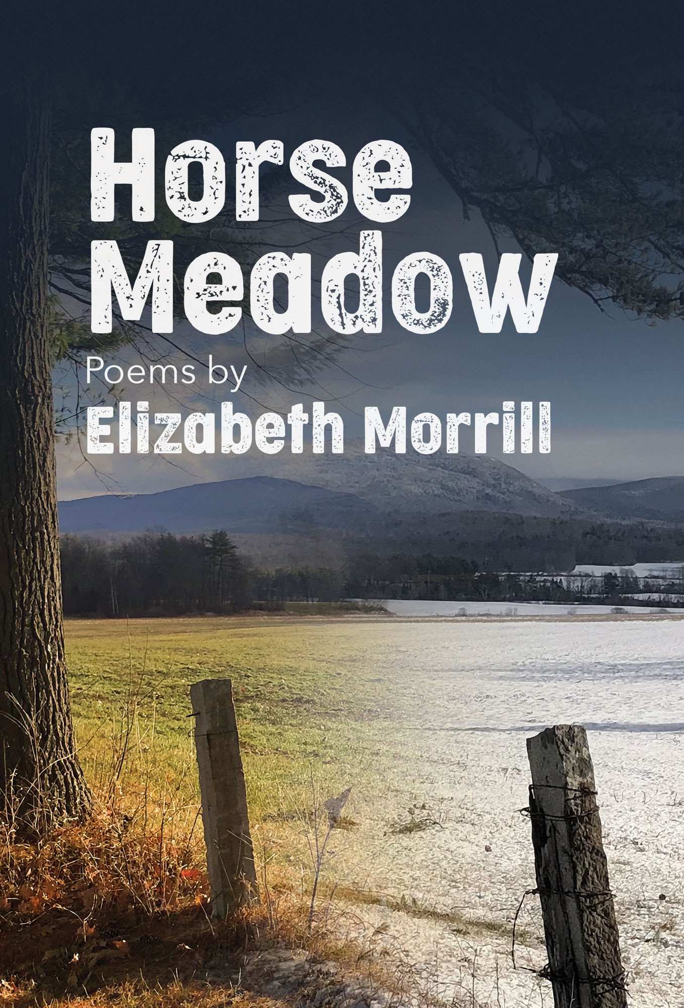 Horse Meadow: Poems by Elizabeth Morrill by Elizabeth Morrill | Goodreads