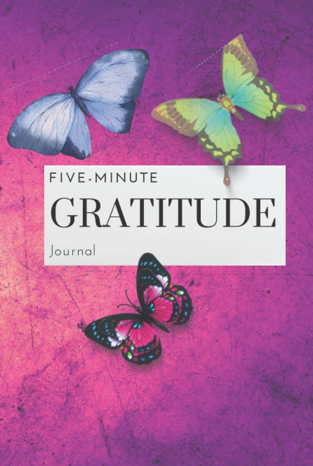 Five Minute Gratitude Journal by Amanda Hicks | Goodreads