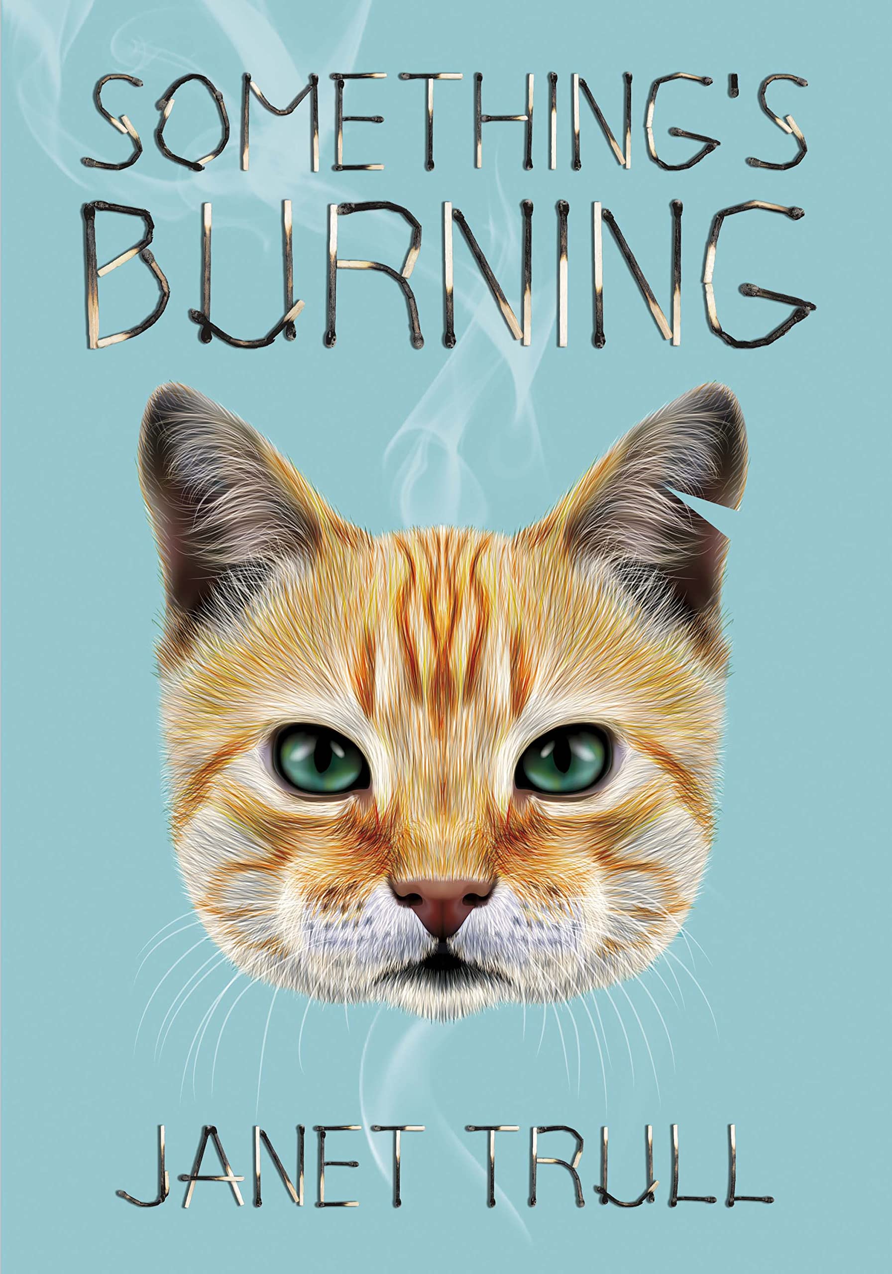 Something's Burning (Strike Anywhere) by Janet Trull | Goodreads